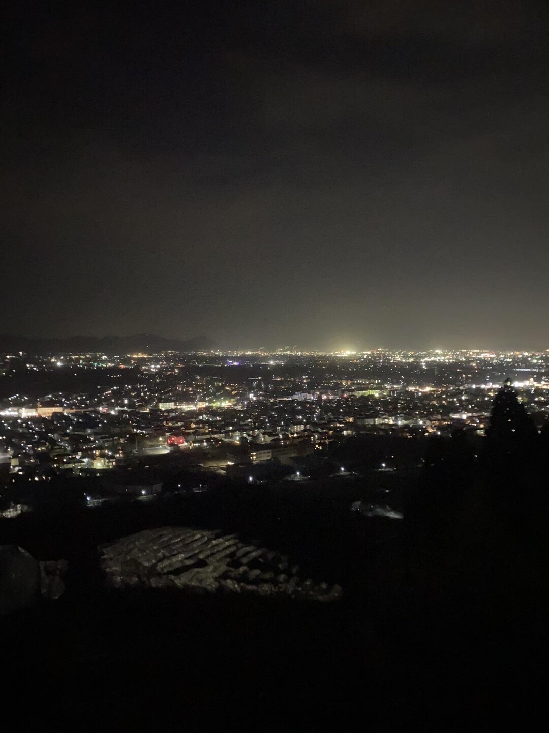 芥子山・シャシャ木山-2023-03-15 / k-sukeさんの芥子山・シャシャ木山の活動データ | YAMAP / ヤマップ