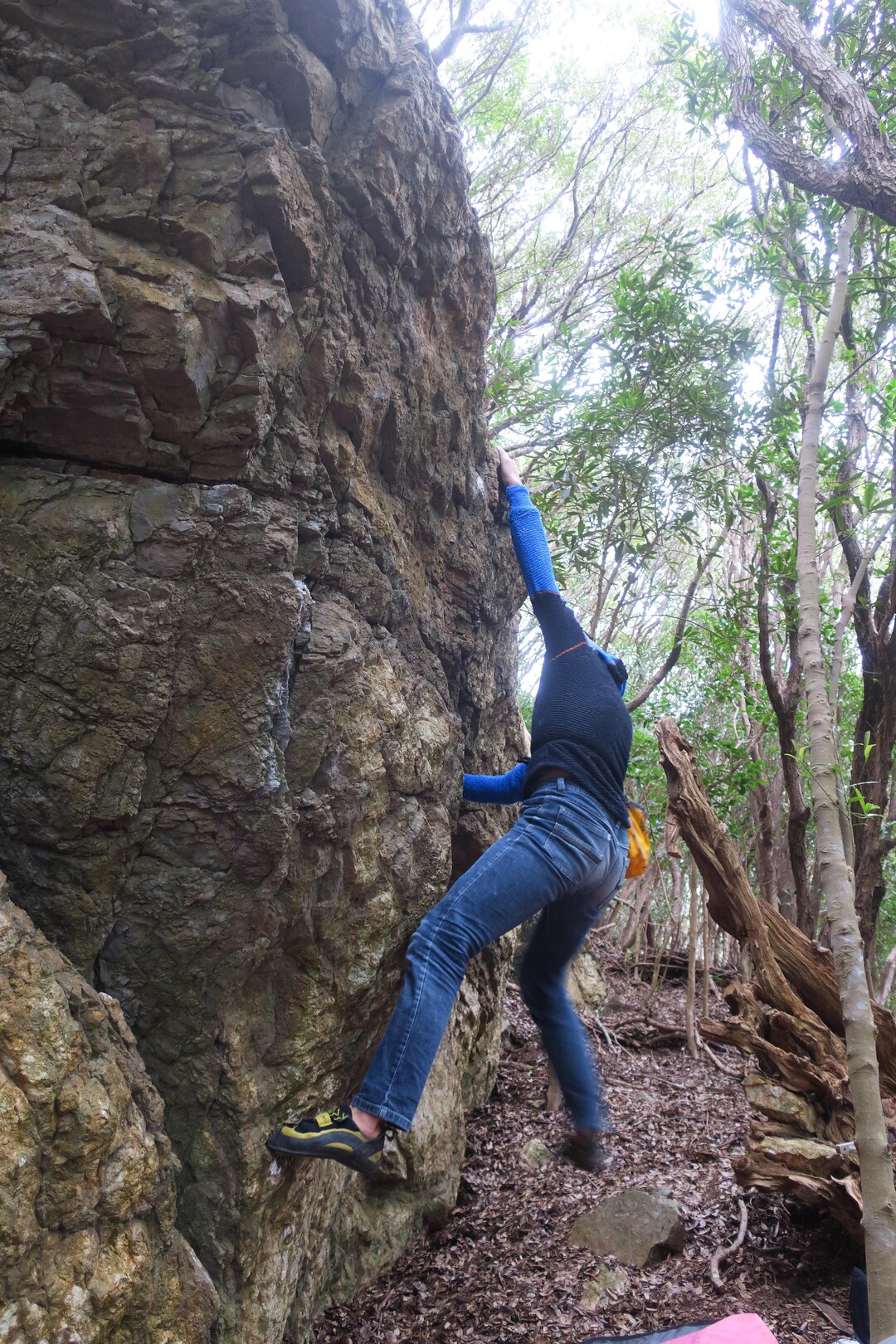 pic1-2:SDスタートの新たな課題を... / 獅子巣さんのモーメント | YAMAP / ヤマップ