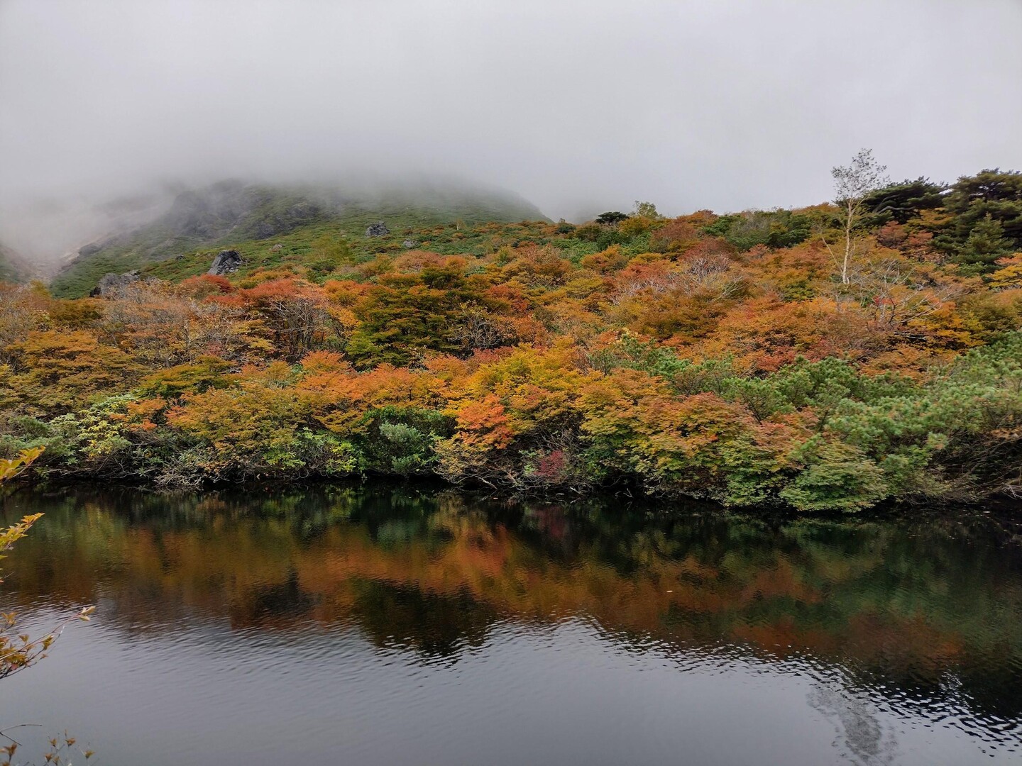 中大倉山・スダレ山・三本槍岳・1900m峰・朝日岳・剣が峰・茶臼岳(那須岳) / ZSYさんの茶臼岳（那須岳）・三本槍岳・赤面山の活動データ | YAMAP / ヤマップ