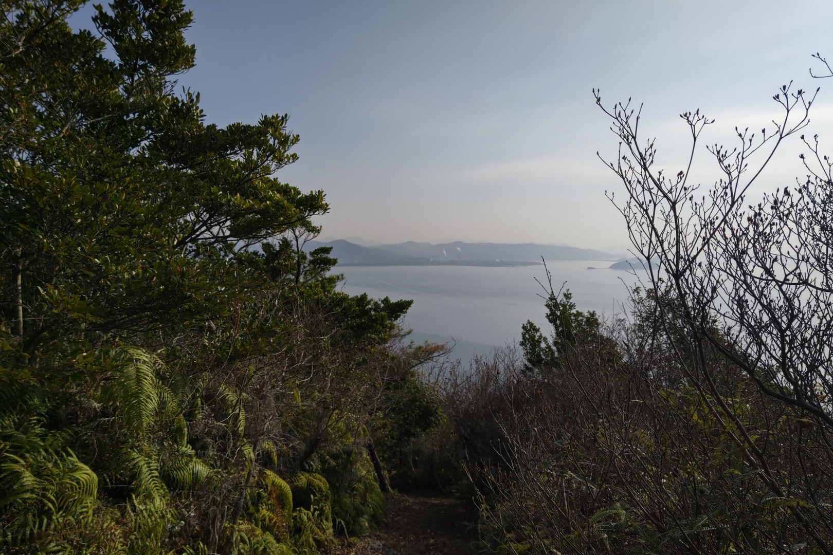 多分登り納め島山100摺鉢山・山見山・奥畑山・白浜山 / gp02さんの笠戸島・尻高山の活動データ | YAMAP / ヤマップ