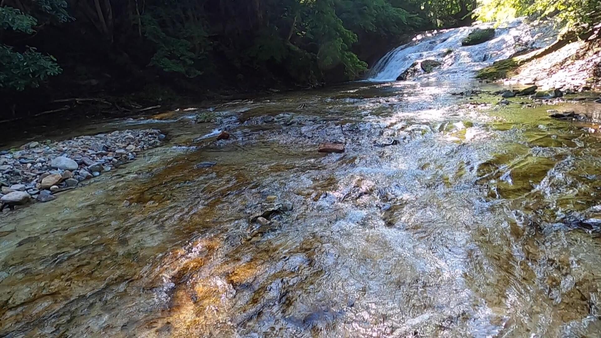 片品川水系・泙川湯之沢～広沢下降 / sakさんの皇海山・袈裟丸山・庚申山の活動データ | YAMAP / ヤマップ