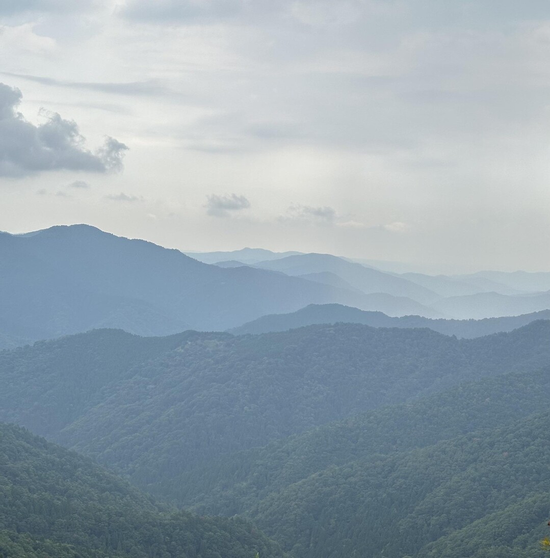 白石山・百里ヶ岳 / ns.smさんの百里ヶ岳・三国岳の活動データ | YAMAP / ヤマップ