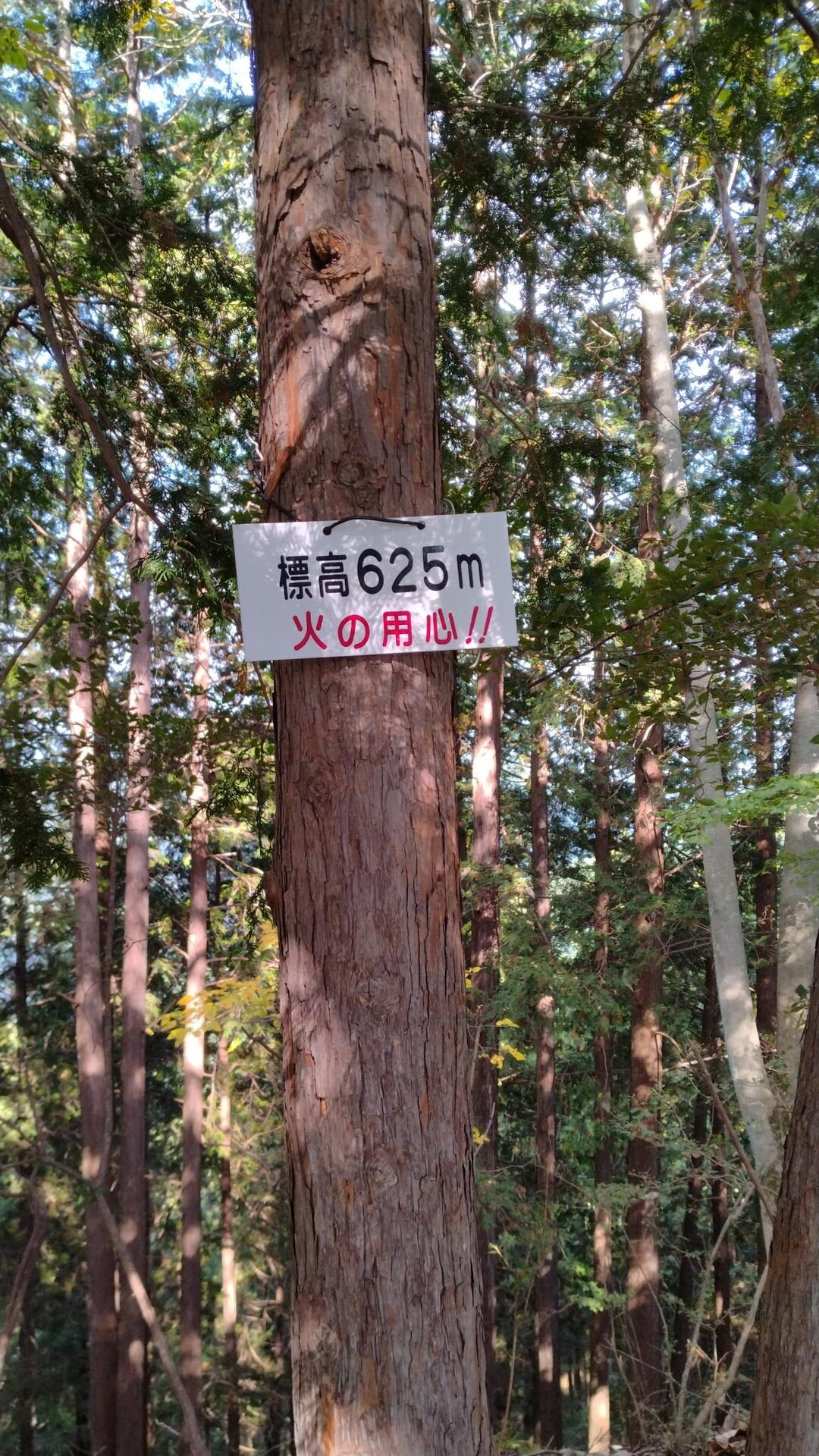 鶏鳴山 / shin-5さんの鶏鳴山・笹目倉山の活動データ | YAMAP / ヤマップ