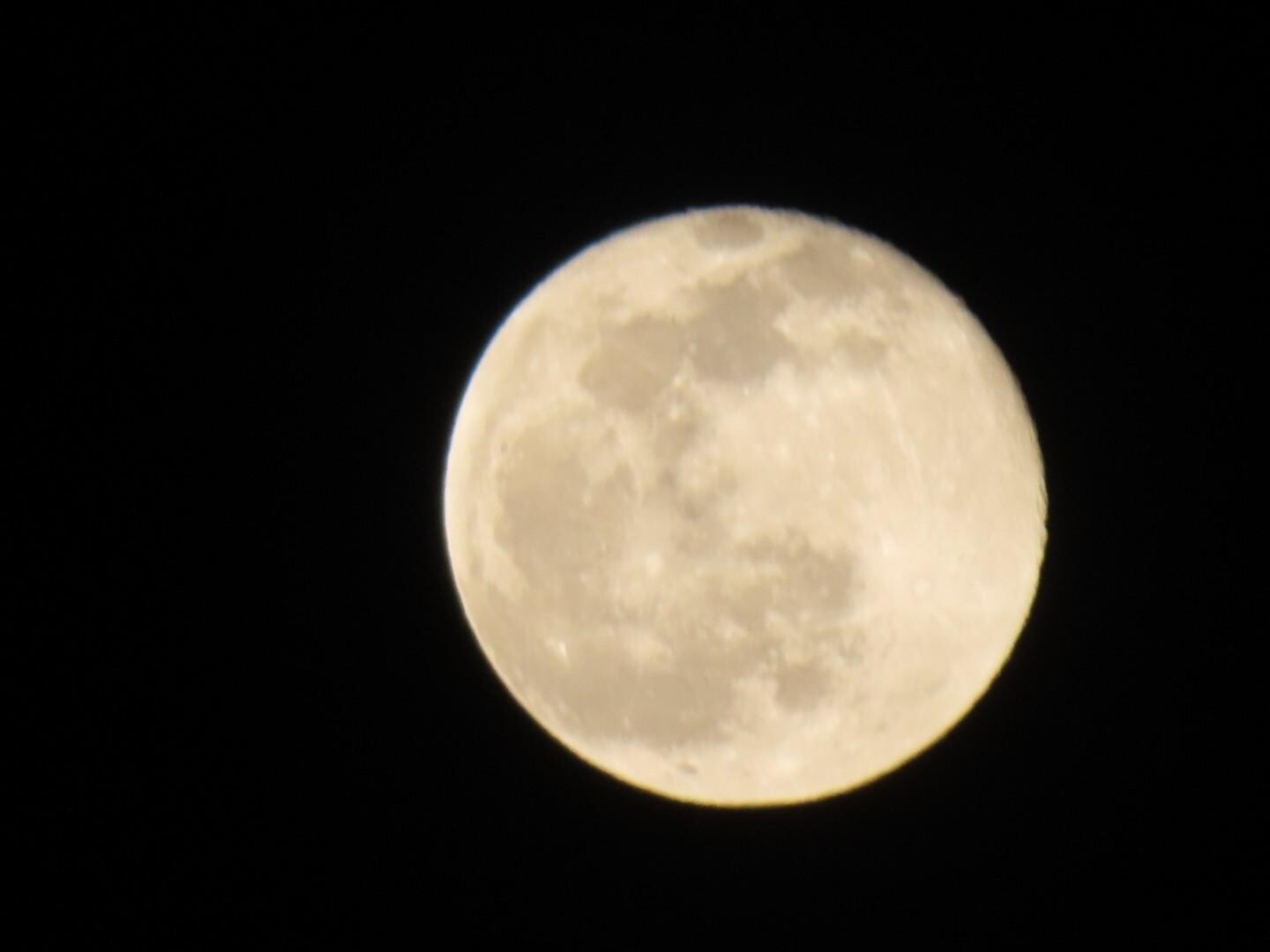 お月さまが近くに感じます。YOKOさんの... / Reoさんのモーメント | YAMAP / ヤマップ