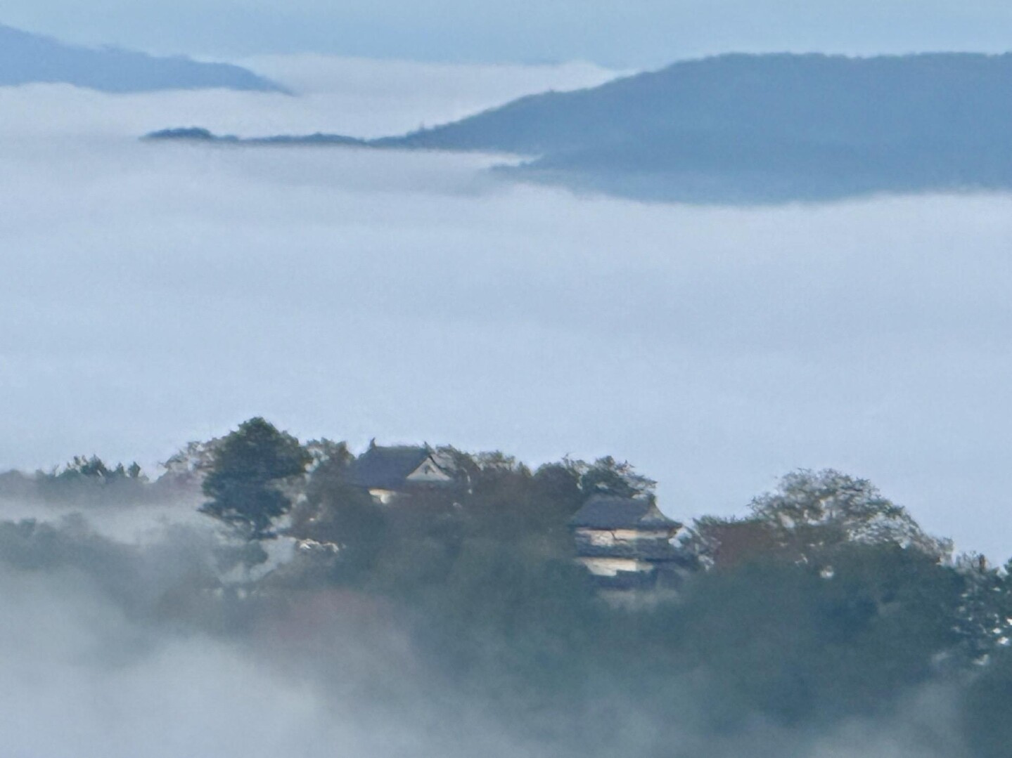 備中松山城 雲海に佇む備中松山城🏯を... / Konchanさんのモーメント | YAMAP / ヤマップ
