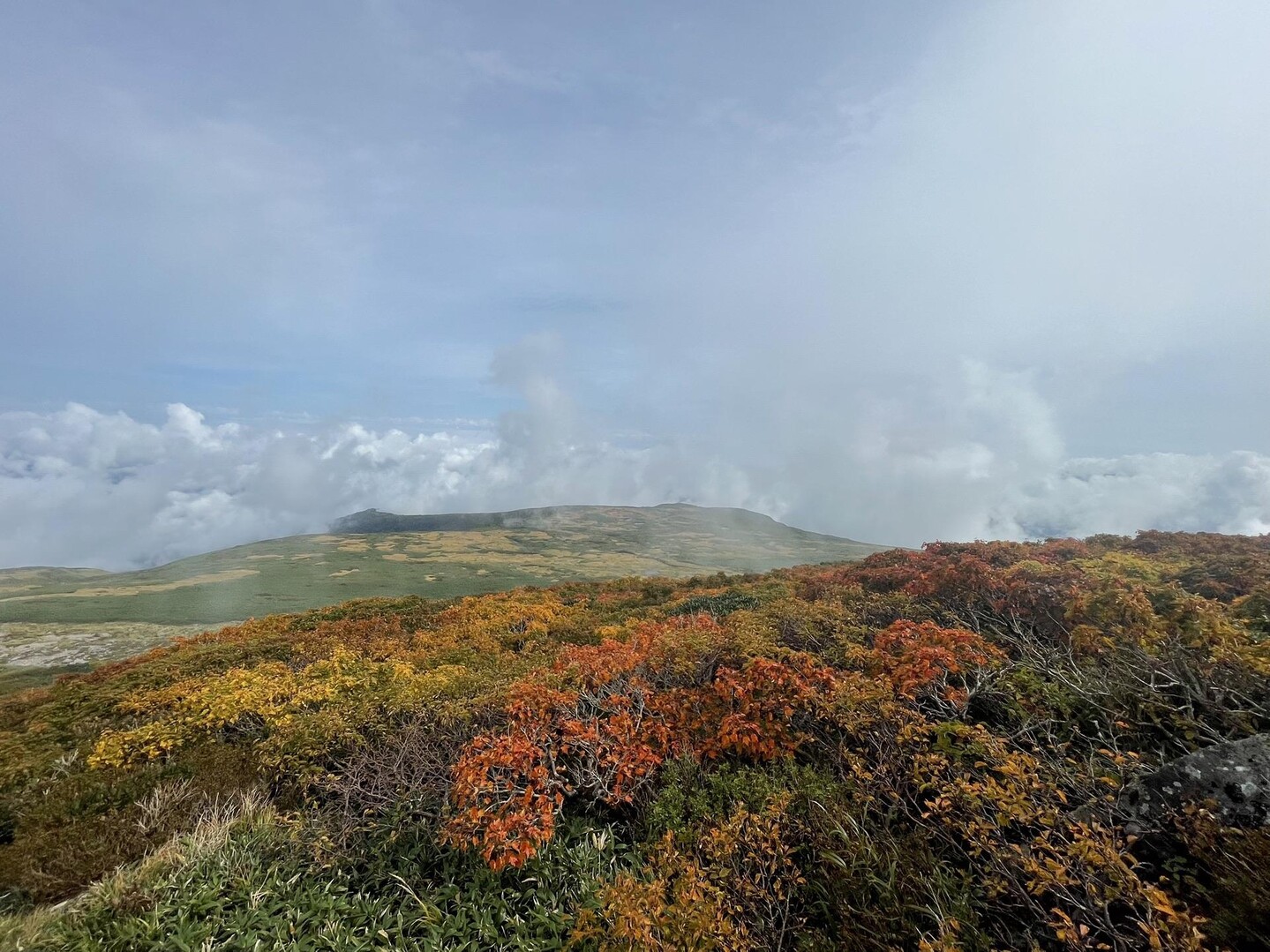 月山2024.09🐇 / megさんの月山の活動データ | YAMAP / ヤマップ