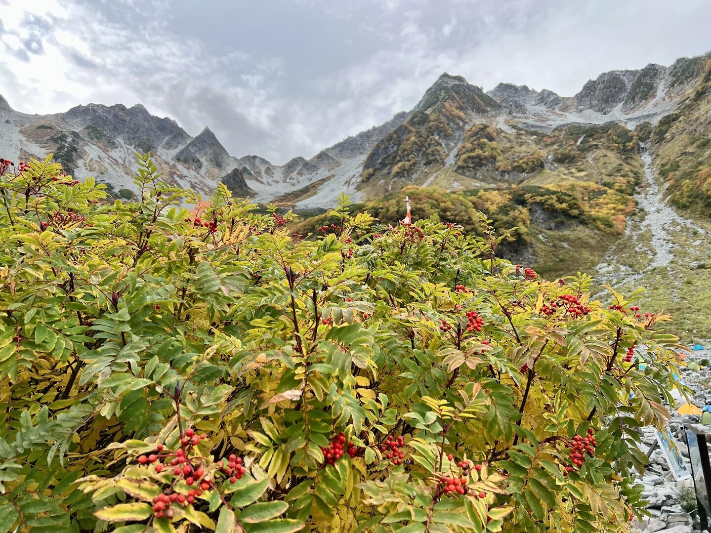 涸沢カール🍁 / yuccoさんの槍ヶ岳・穂高岳・上高地の活動データ | YAMAP / ヤマップ