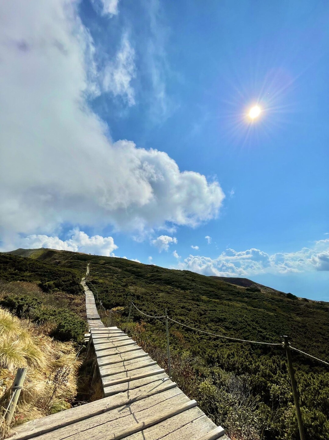 大山(弥山)-2023-10-25 / smzさんのウォーキングの活動データ | YAMAP / ヤマップ