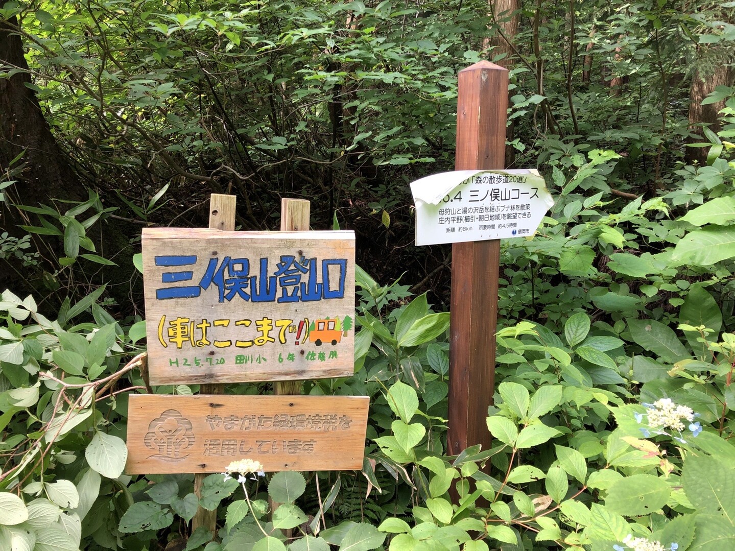 湯ノ沢岳・三ノ俣山-大机コース / w823hさんの湯ノ沢岳・三ノ俣山の活動データ | YAMAP / ヤマップ