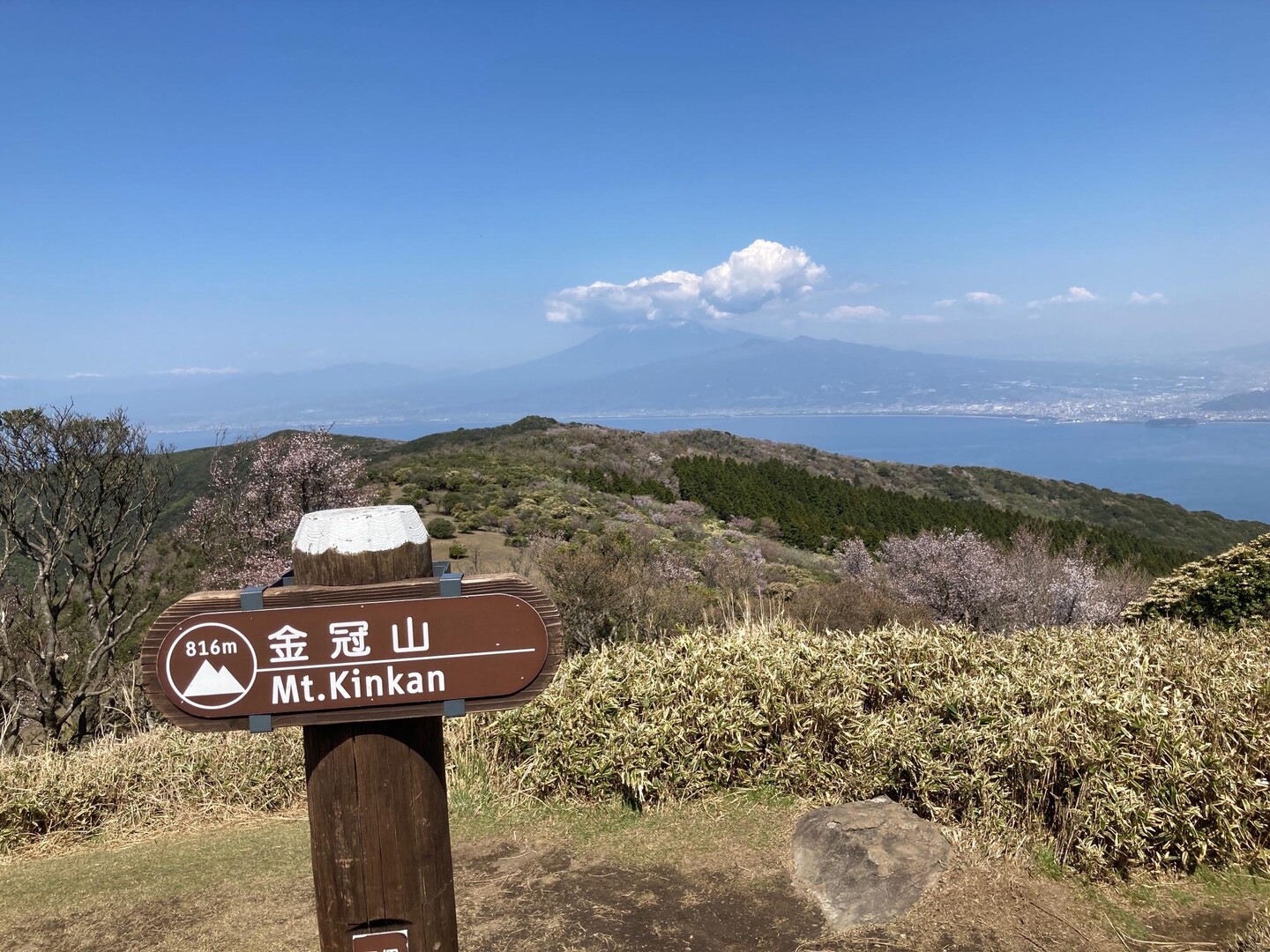 春の金冠山ハイキング / Yasutadaさんの金冠山・達磨山・葛城山の活動データ | YAMAP / ヤマップ