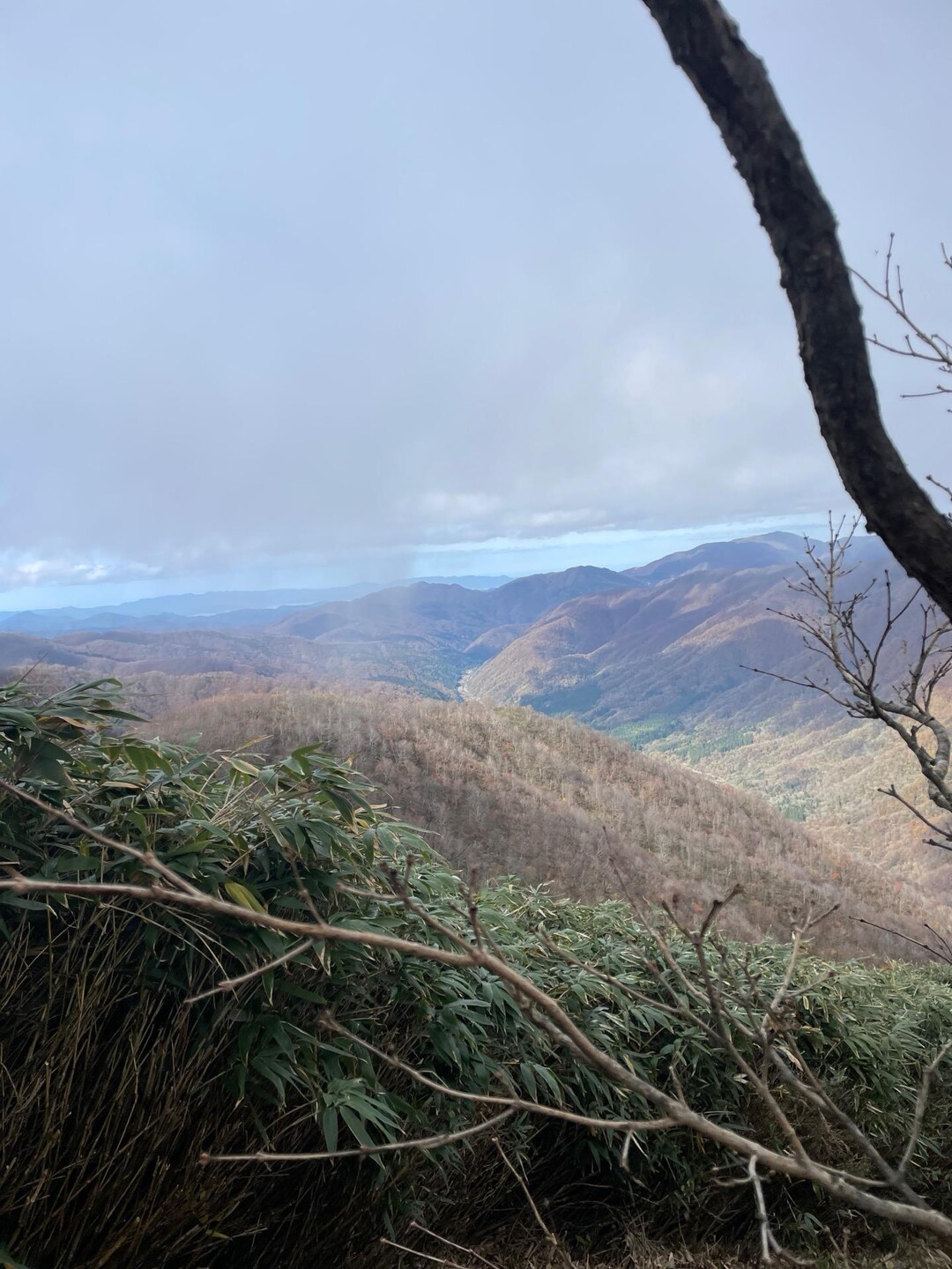 コロンブスピーク・能郷白山 / ichi【2024年の目標 日本100高山完登 13/100】さんの能郷白山の活動データ | YAMAP / ヤマップ