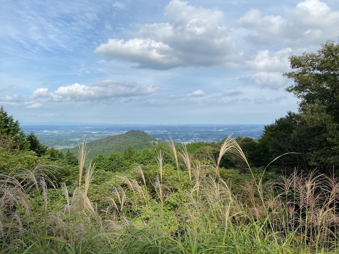 南山 / Bull&Umiさんの加波山・吾国山・難台山の活動データ | YAMAP / ヤマップ
