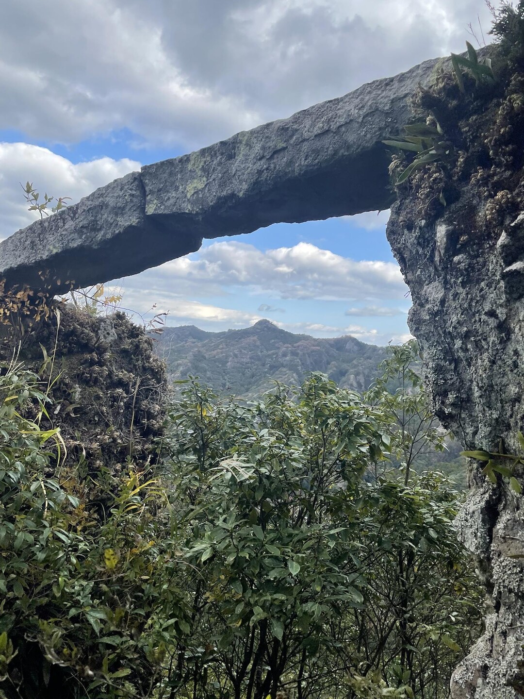 高所ドキドキアスレチックin六郷満山 / teaさんの六郷満山（国東半島）の活動データ | YAMAP / ヤマップ