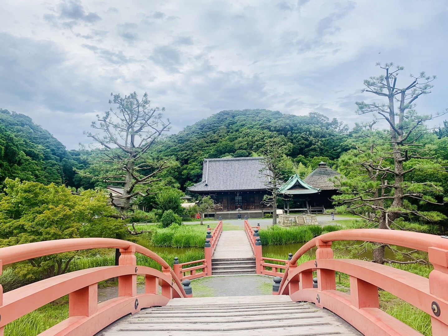 称名寺〜神奈川県立金沢文庫〜称名寺庭園〜金沢三山（金沢山、稲荷山、日向山） / momoさんの金沢山・稲荷山・日向山の活動データ | YAMAP / ヤマップ