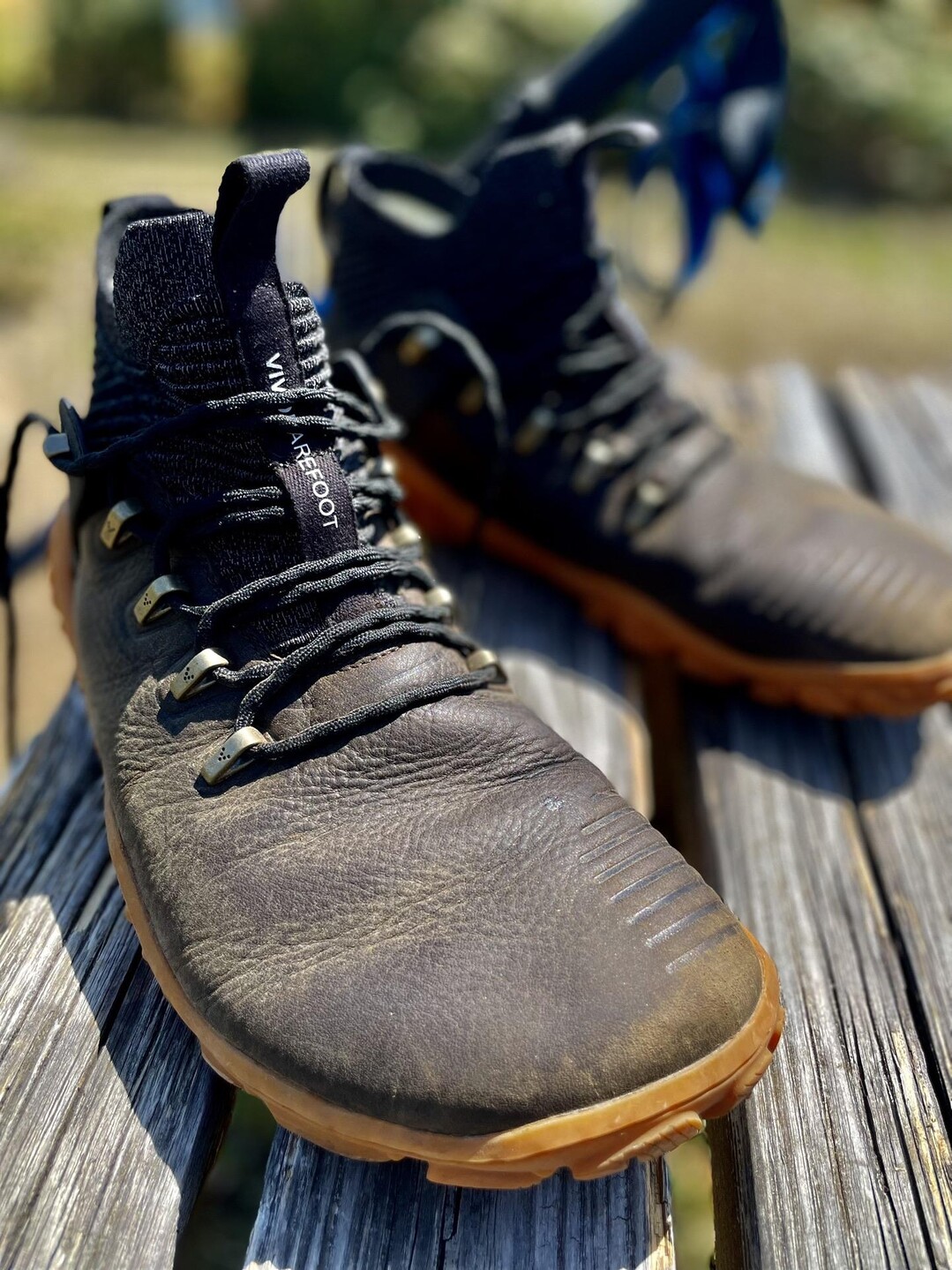 VIVOベアフットデビュー 🥾in経ヶ峰🥾 / ほの＆ひろ&BPさんの経ヶ峰の活動データ | YAMAP / ヤマップ