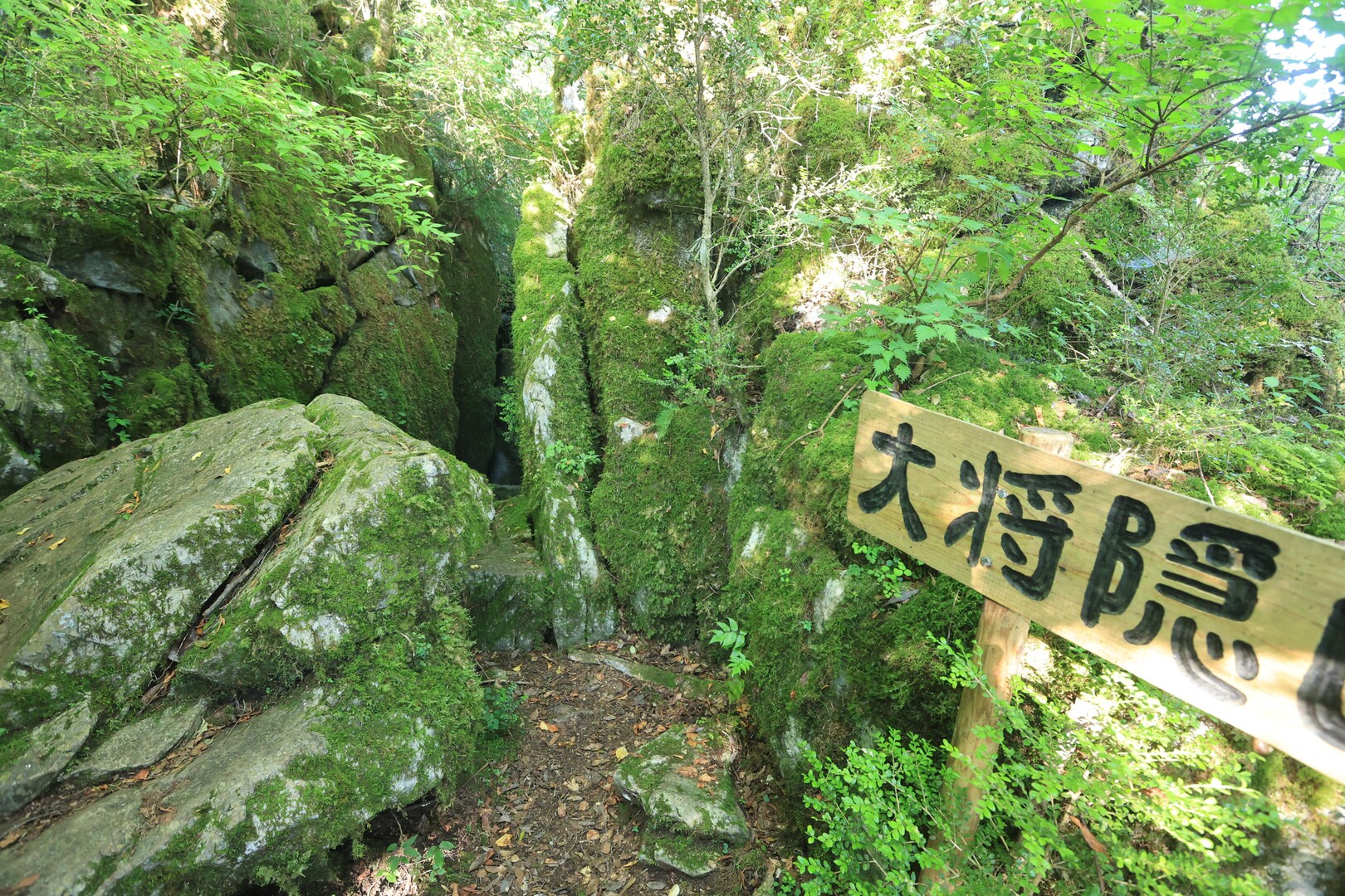 初めまして、盛暑の古処山 / たてちゃんさんの古処山・屏山・馬見山・江川岳の活動データ | YAMAP / ヤマップ