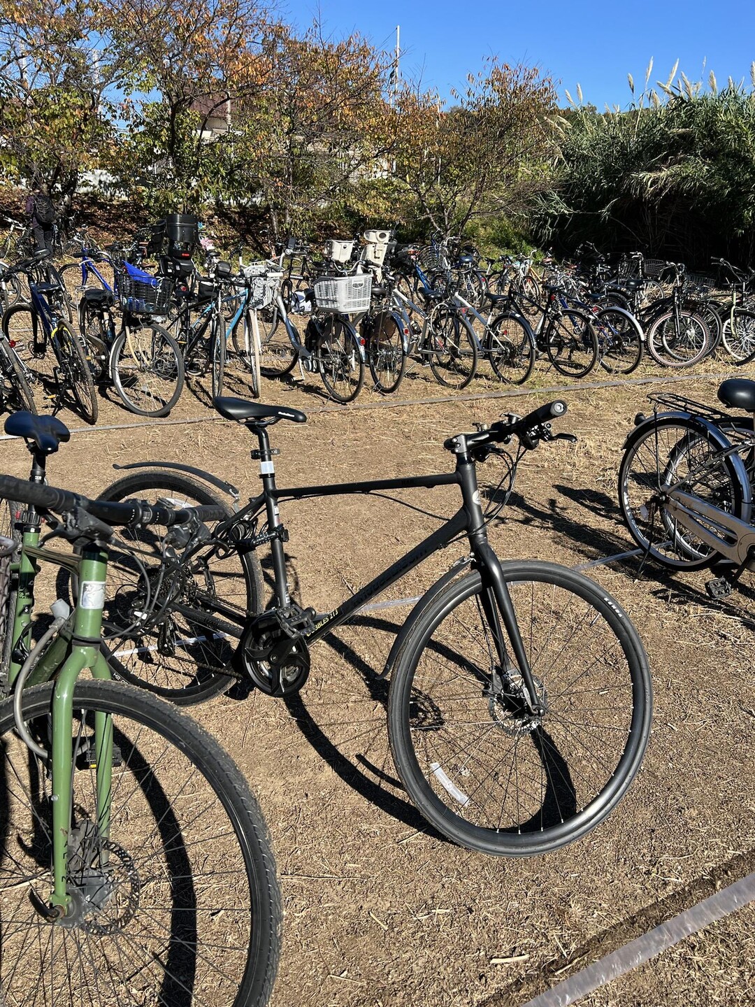 湘南国際マラソン（ラン10K＆チャリ22Kx2） / いっせいさんのランニングの活動データ | YAMAP / ヤマップ