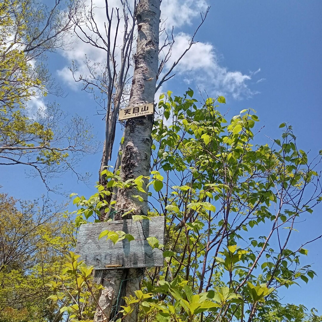 天目山(三ツドッケ)⛰⛰⛰ / 一路ISSAさんの雲取山・鷹ノ巣山・七ツ石山の活動データ | YAMAP / ヤマップ