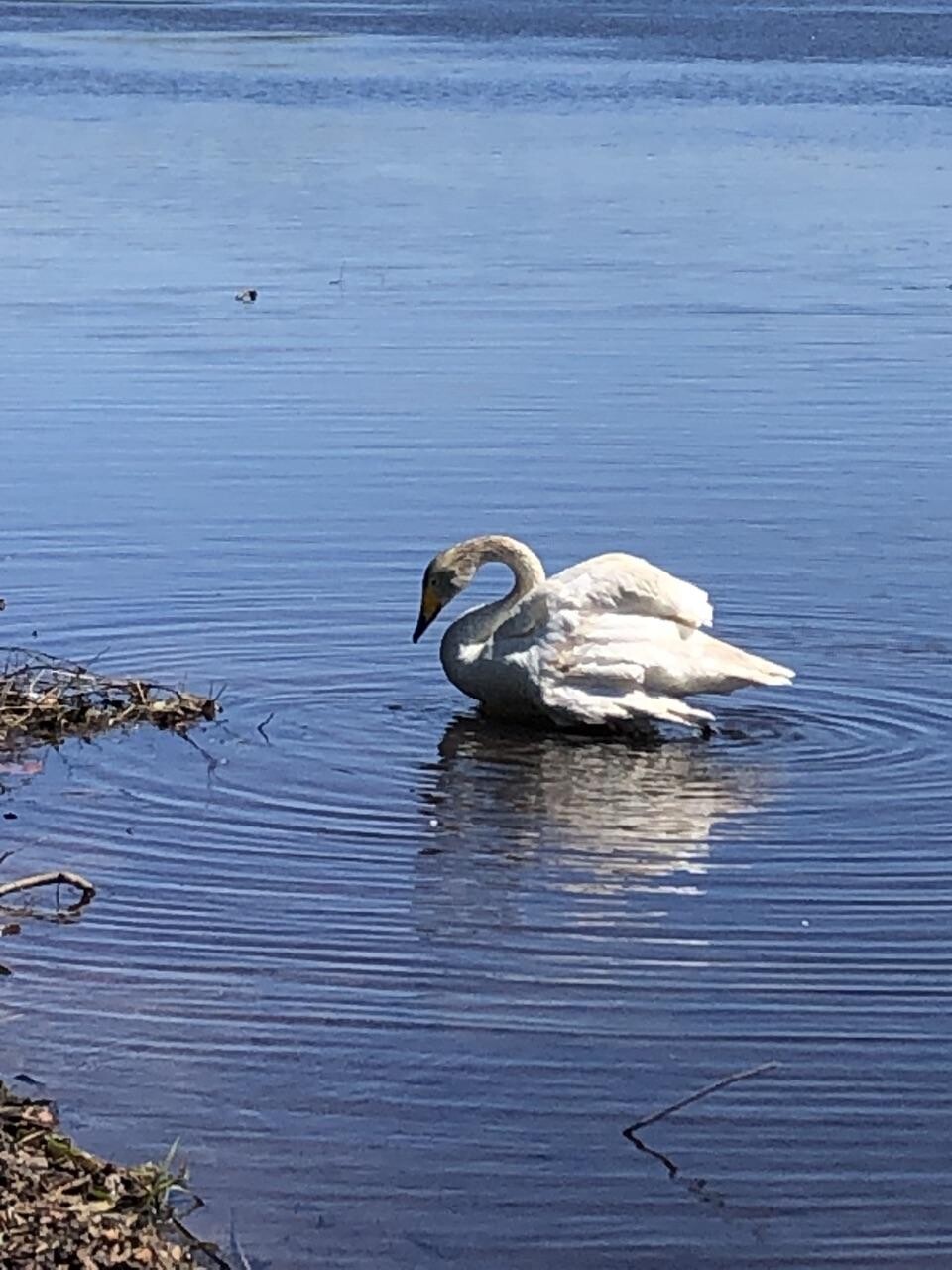 junjunのページ | YAMAP / ヤマップ