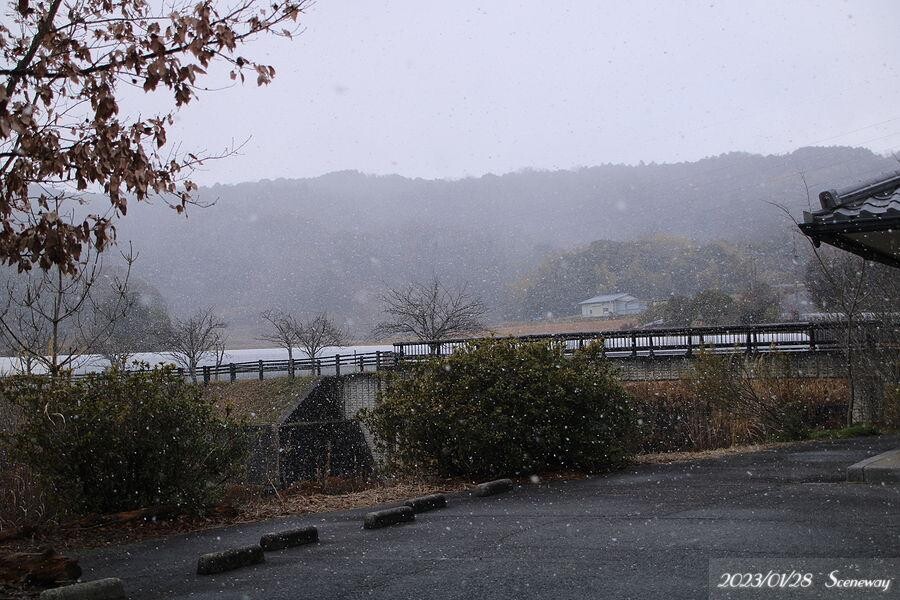 矢田丘陵・松尾湿原と法隆寺 雪 / Scenewayさんの矢田丘陵・法隆寺の活動データ | YAMAP / ヤマップ