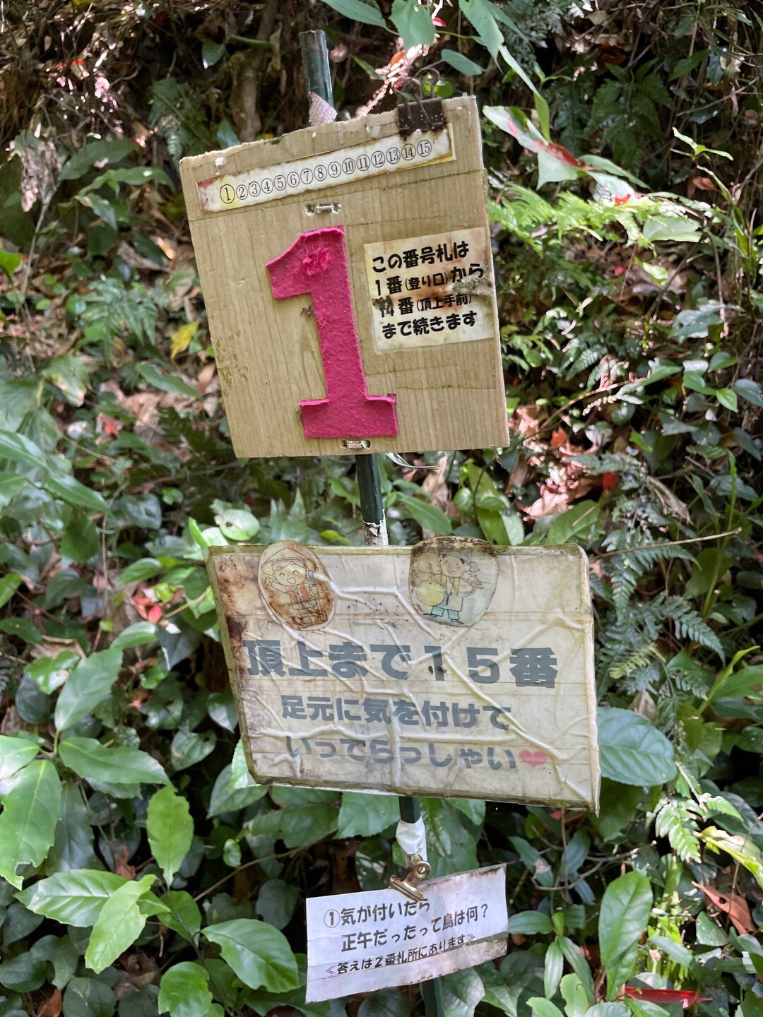 帆掛山 なぞなぞがある登山 山頂まで1... / HIROPさんのモーメント | YAMAP / ヤマップ