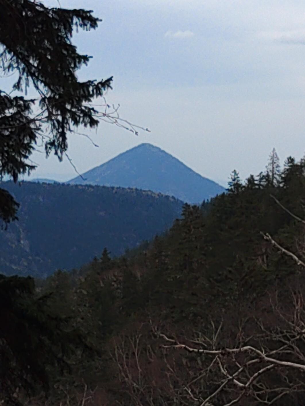 ダニ払い江屯武華山 / ふじやんさんの武利岳・武華山の活動日記 | YAMAP / ヤマップ