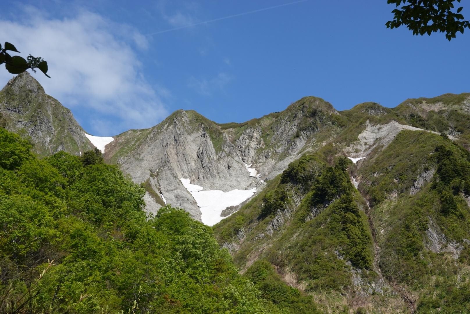 雨飾山 2023-06-04 / witさんの雨飾山・大渚山・天狗原山・戸倉山の活動データ | YAMAP / ヤマップ