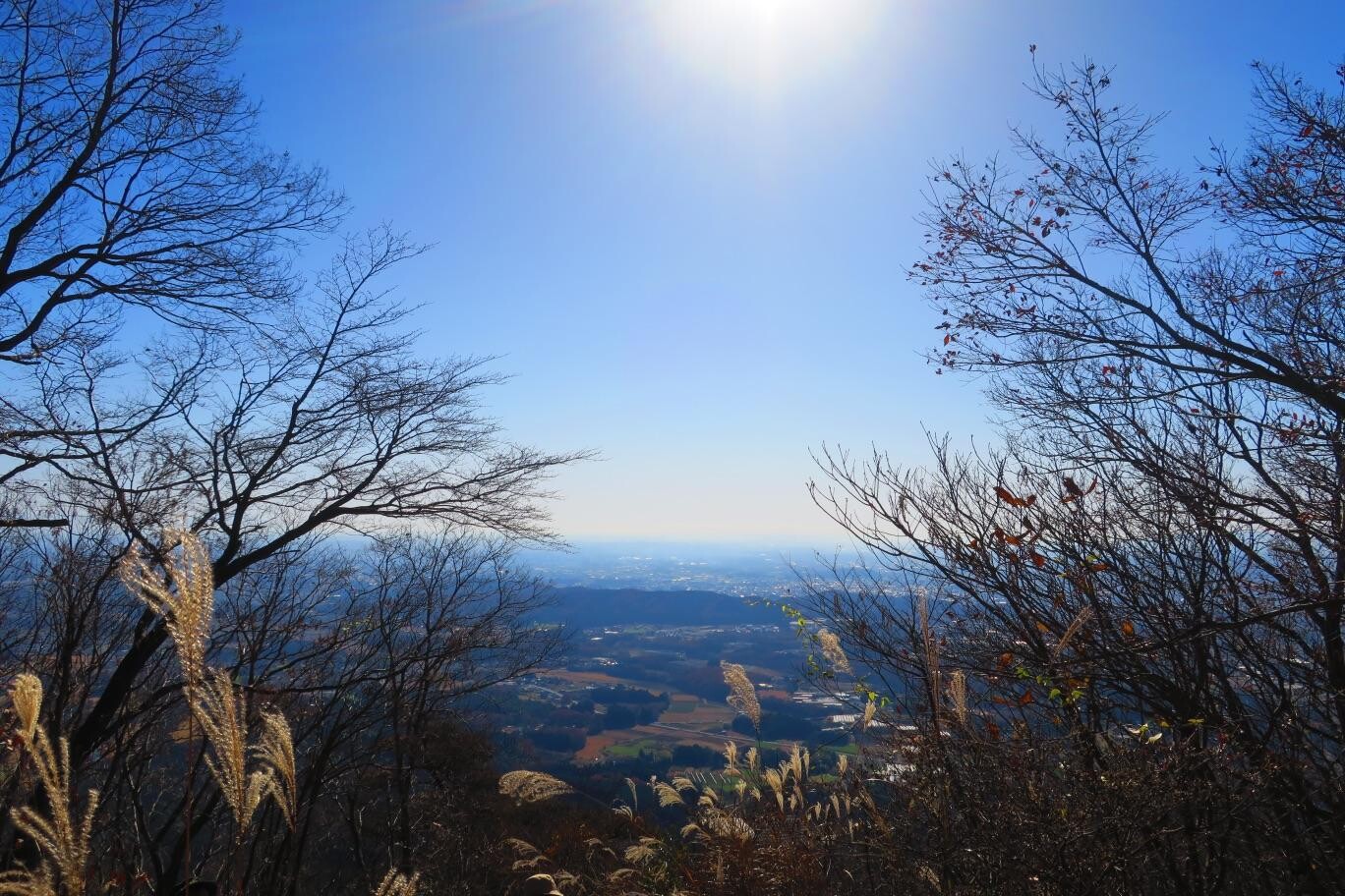 SYのページ | YAMAP / ヤマップ