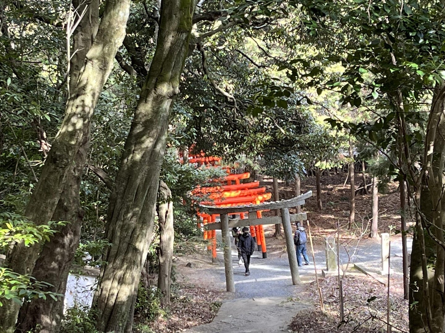 龍王山・吉備中山 / kyoh-co55さんの吉備中山・龍王山の活動データ | YAMAP / ヤマップ