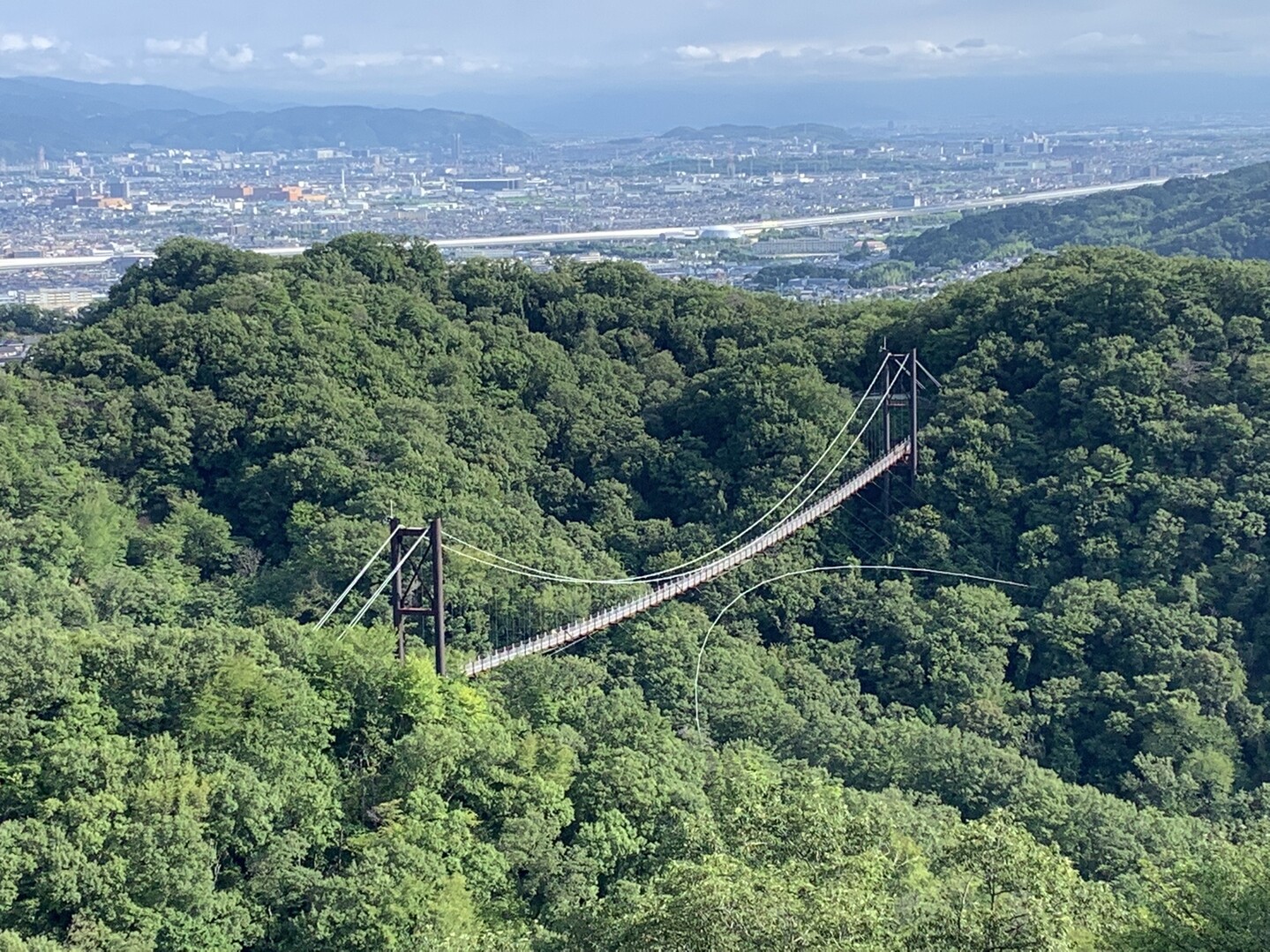 暑いので自宅の裏山で爽やかに早朝散歩！のはずが…！？ほしだ園地・星田連山 / koe-sunさんの交野山・国見山の活動データ | YAMAP / ヤマップ