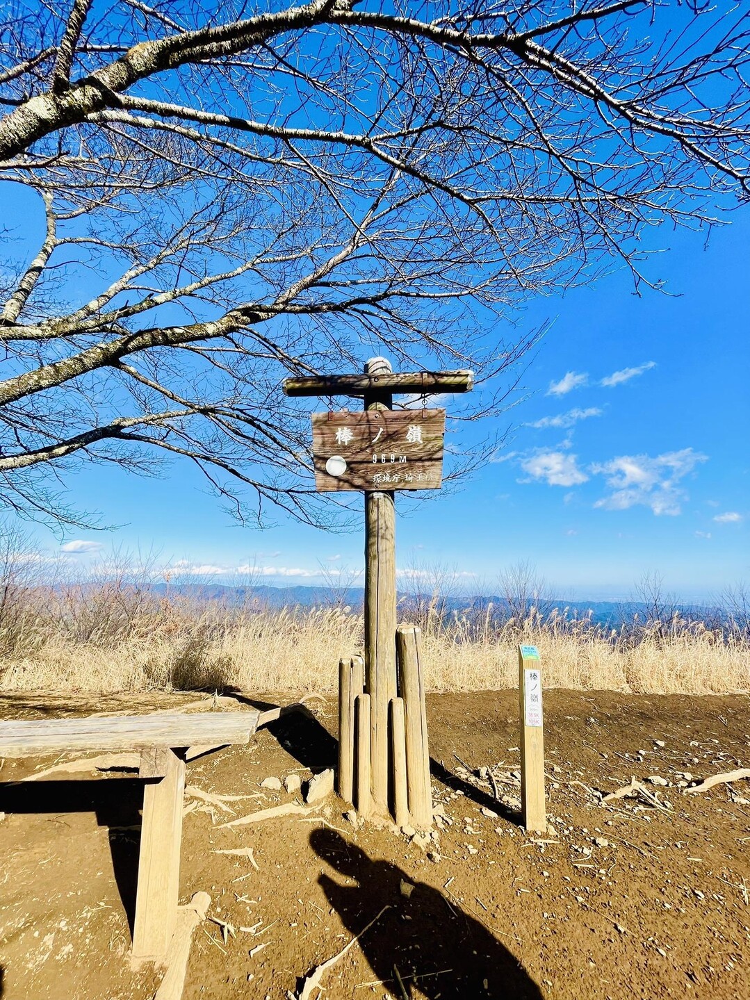 日帰り 棒ノ嶺（棒ノ折山）2022/12/14 / maさんの棒ノ折山（棒ノ嶺）の活動データ | YAMAP / ヤマップ