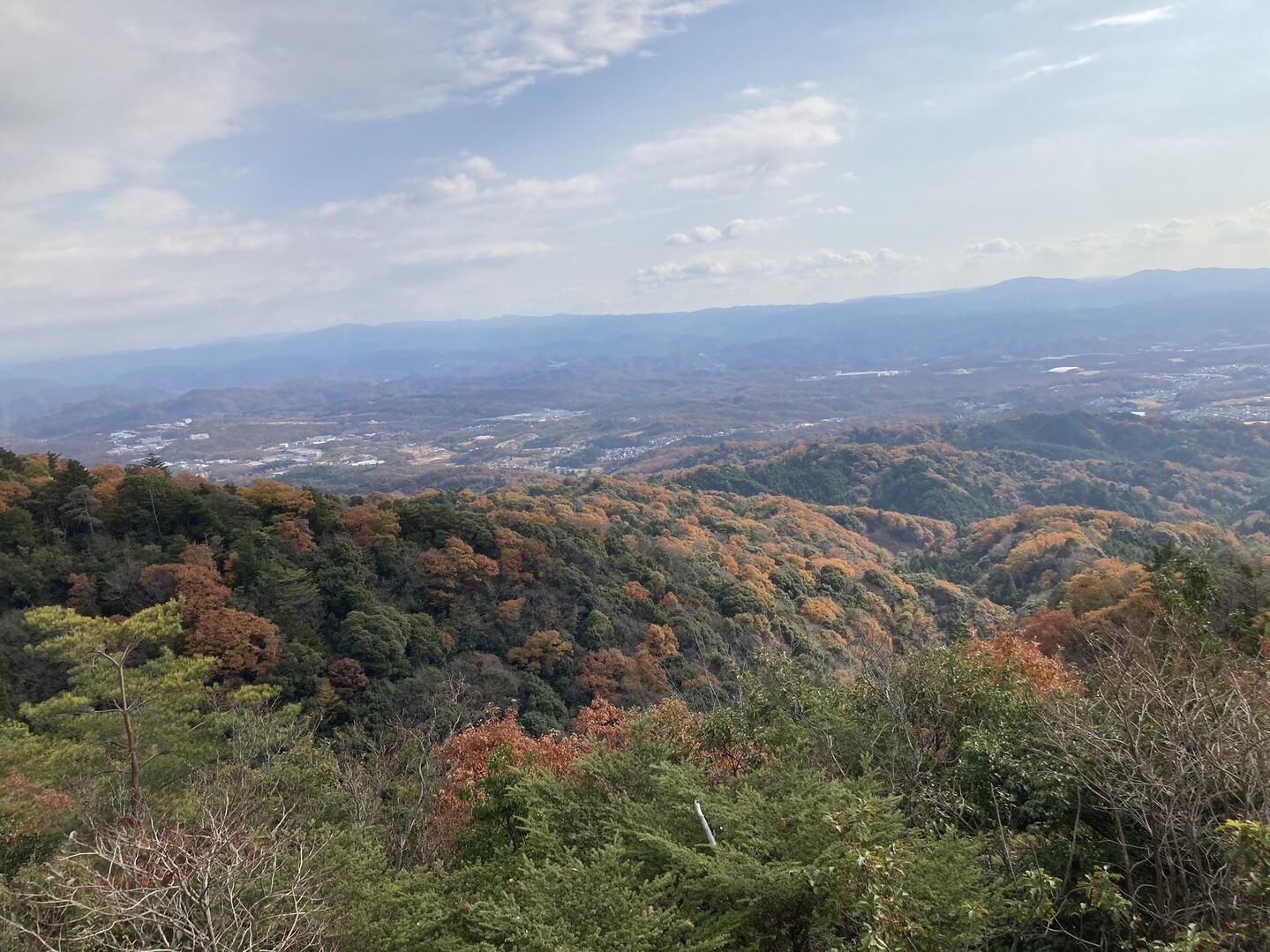 猿投山 / hori youさんの猿投山・物見山の活動データ | YAMAP / ヤマップ