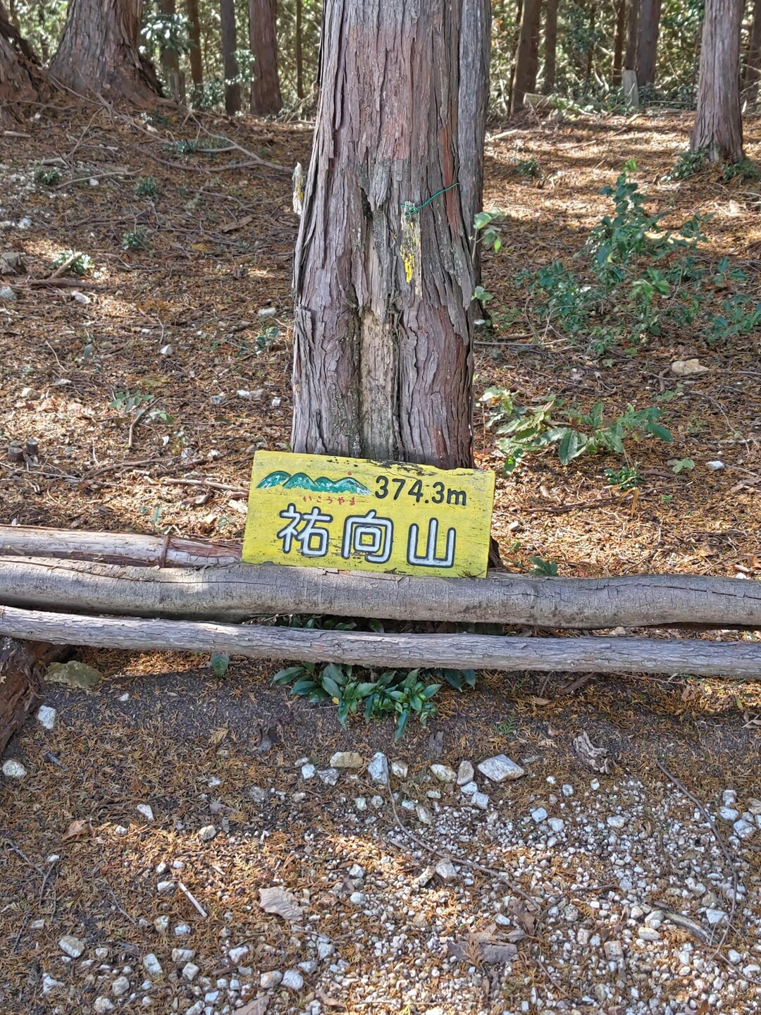 文殊の森、文殊山344m・祐向山374.3m / うし56さんの文殊山の活動データ | YAMAP / ヤマップ
