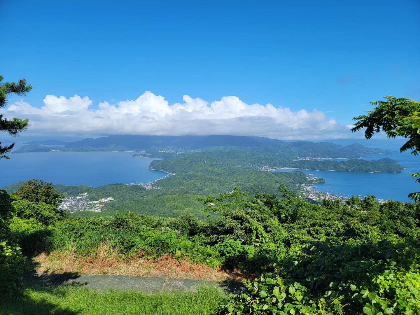佐連山・白木山・伊崎山 / PIPINさんの嘉納山・頂海山・周防大島の活動データ | YAMAP / ヤマップ