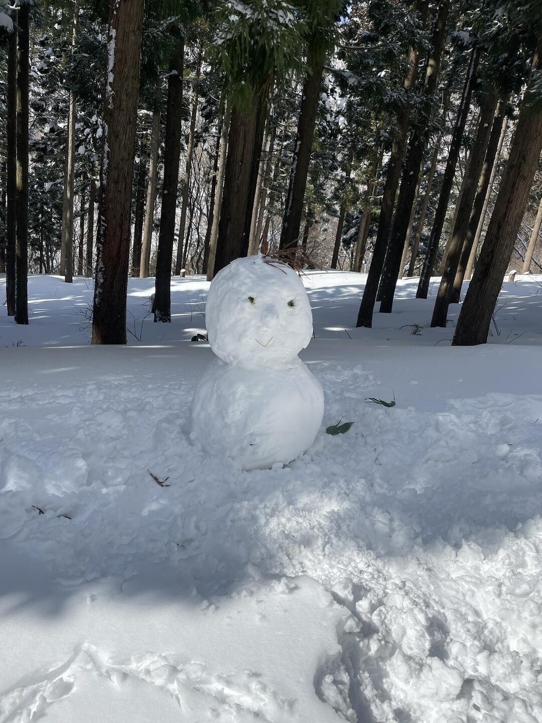 蔵王山・雁戸山・不忘山-2023-02-11 / bateniceさんの蔵王山・雁戸山・不忘山の活動データ | YAMAP / ヤマップ