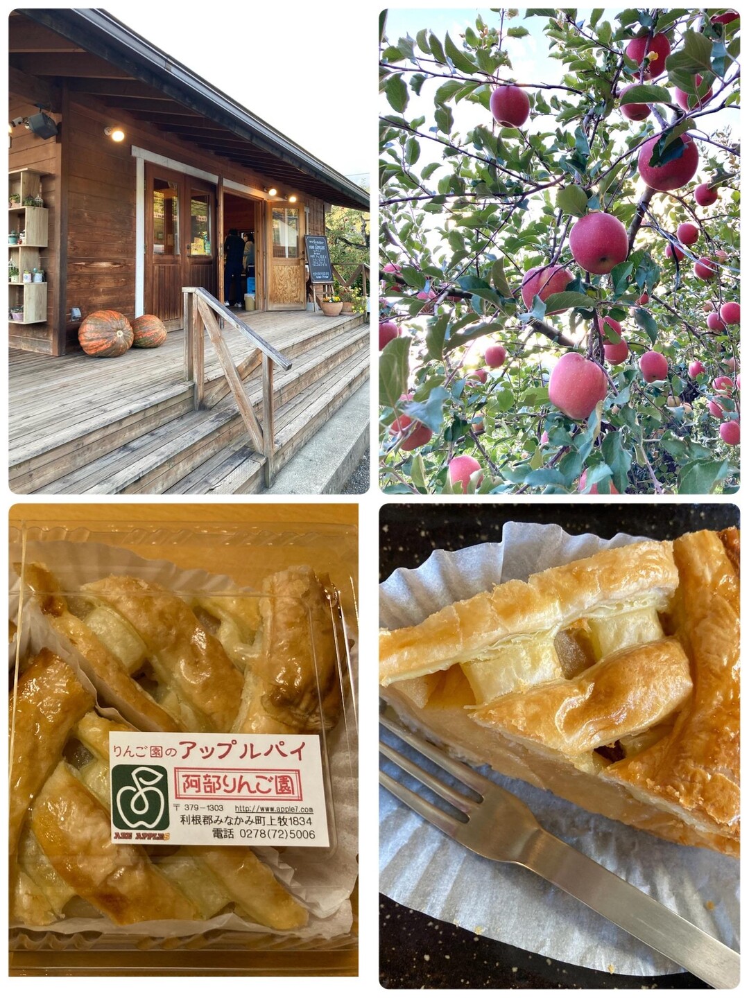 谷川岳に行く時にいつも気になっていたりん... / ayayoさんのモーメント | YAMAP / ヤマップ