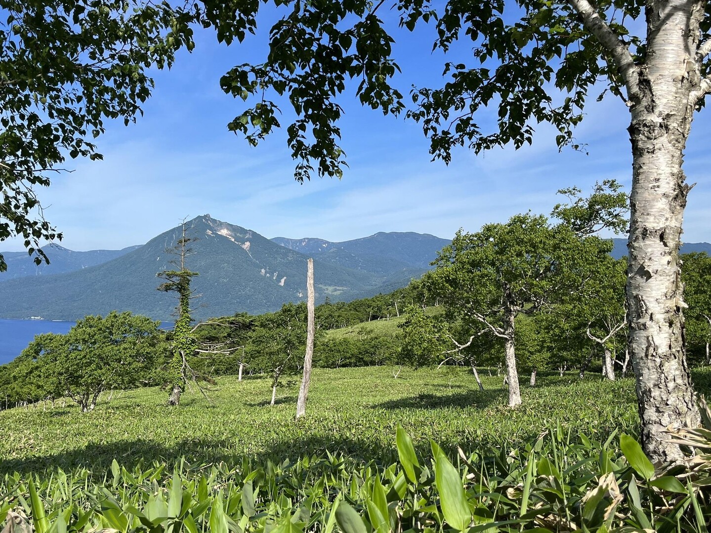 紋別岳-2024-06-30 / Ma-buさんの紋別岳の活動日記 | YAMAP / ヤマップ