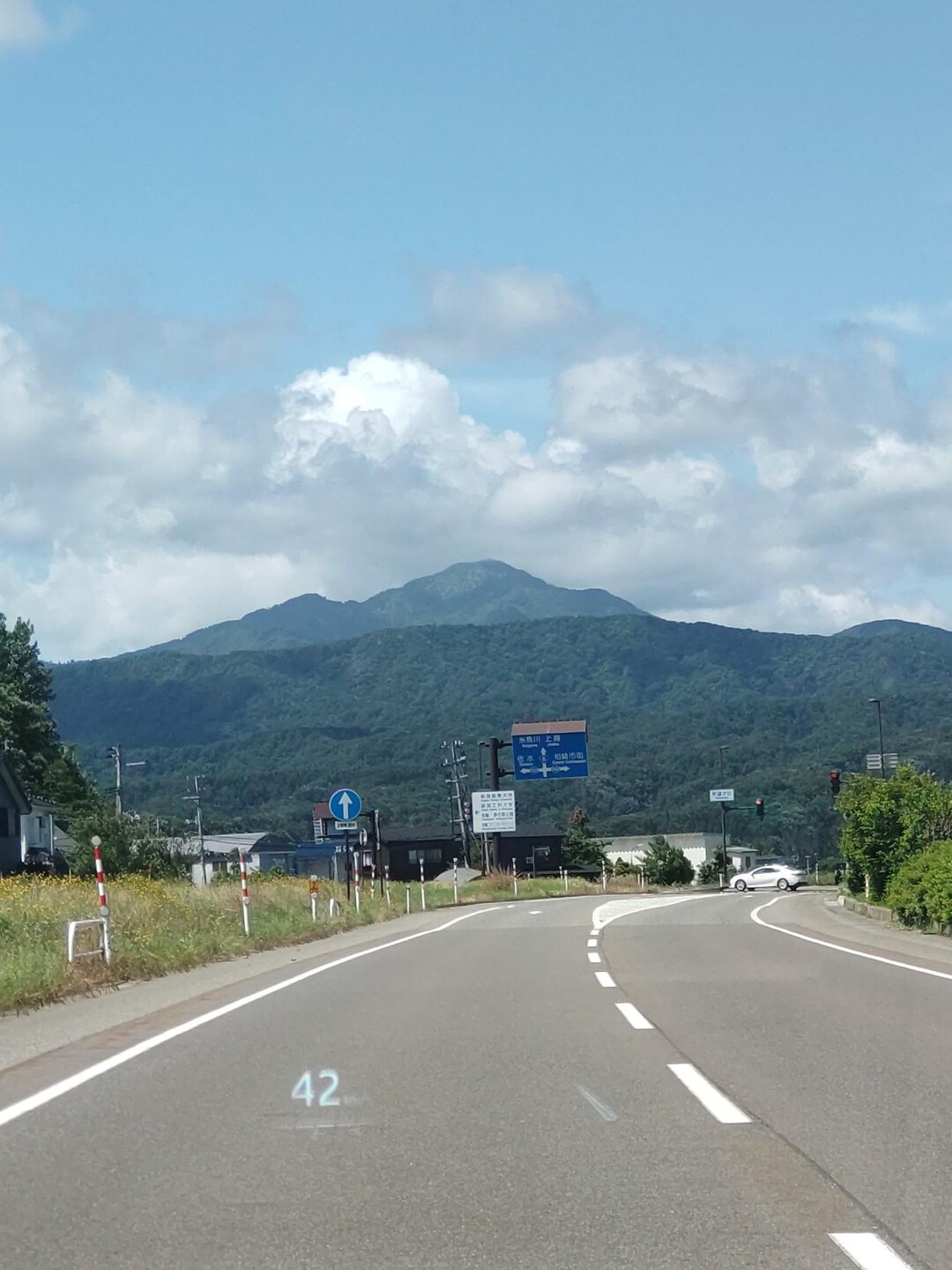 米山 大平コース-2023-06-19 / tamuさんの米山の活動データ | YAMAP / ヤマップ