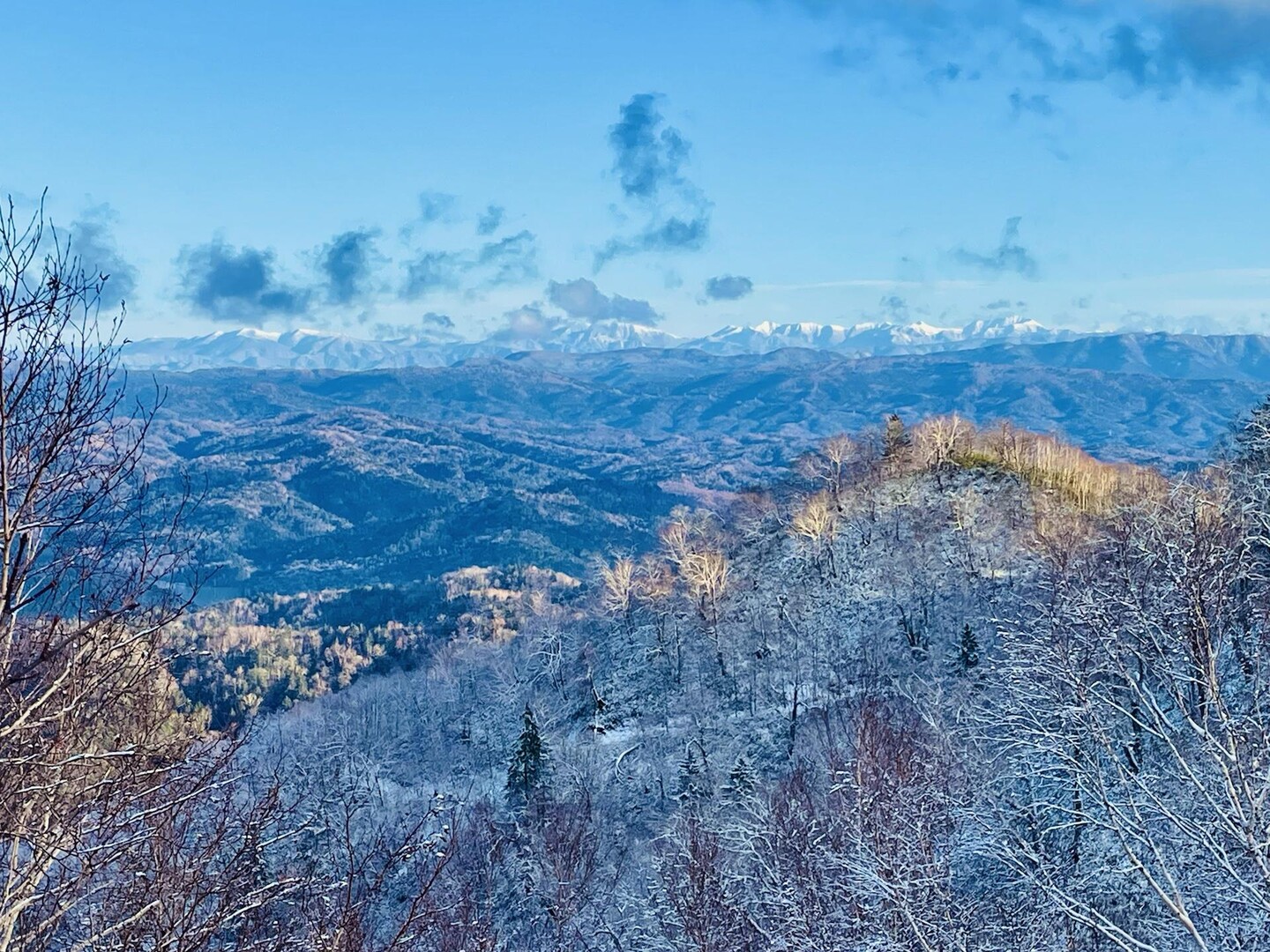 寒茜の空に🕯️真谷地山 / MINTさんの雨霧山の活動データ | YAMAP / ヤマップ