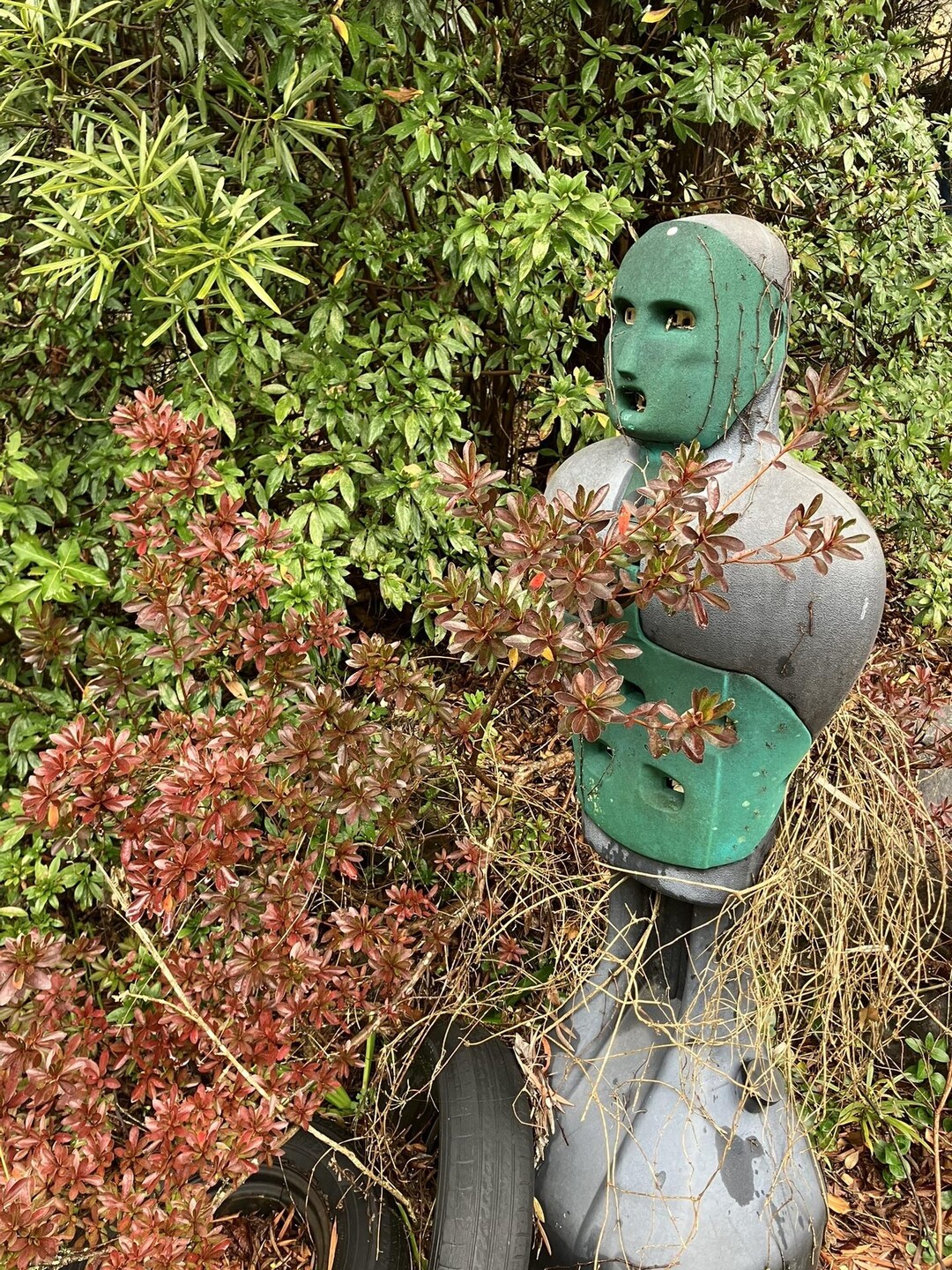 芦北PH ② 廃集落？ ﾄﾞｯｷﾘ‼️ 😵鶴掛山🏔️ / 楽かずくんさんの笠山の活動日記 | YAMAP / ヤマップ