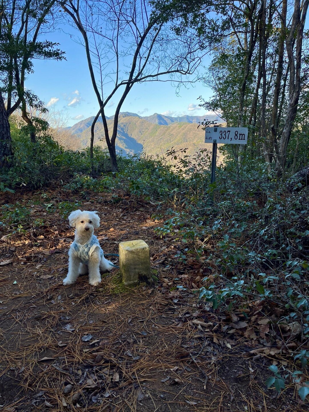 登り初めは一本松から😊 / yu-kunさんの国見山の活動データ | YAMAP / ヤマップ