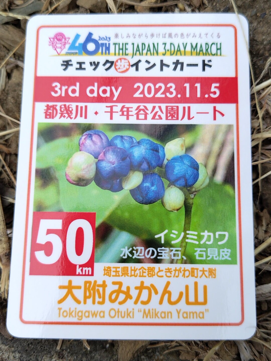 日本スリーデーマーチ2023 50kmコース 最終日 / さかてつさんの熊谷市の活動データ | YAMAP / ヤマップ