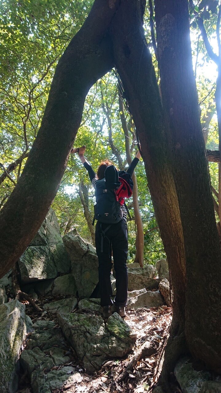 Hitomiのページ | YAMAP / ヤマップ