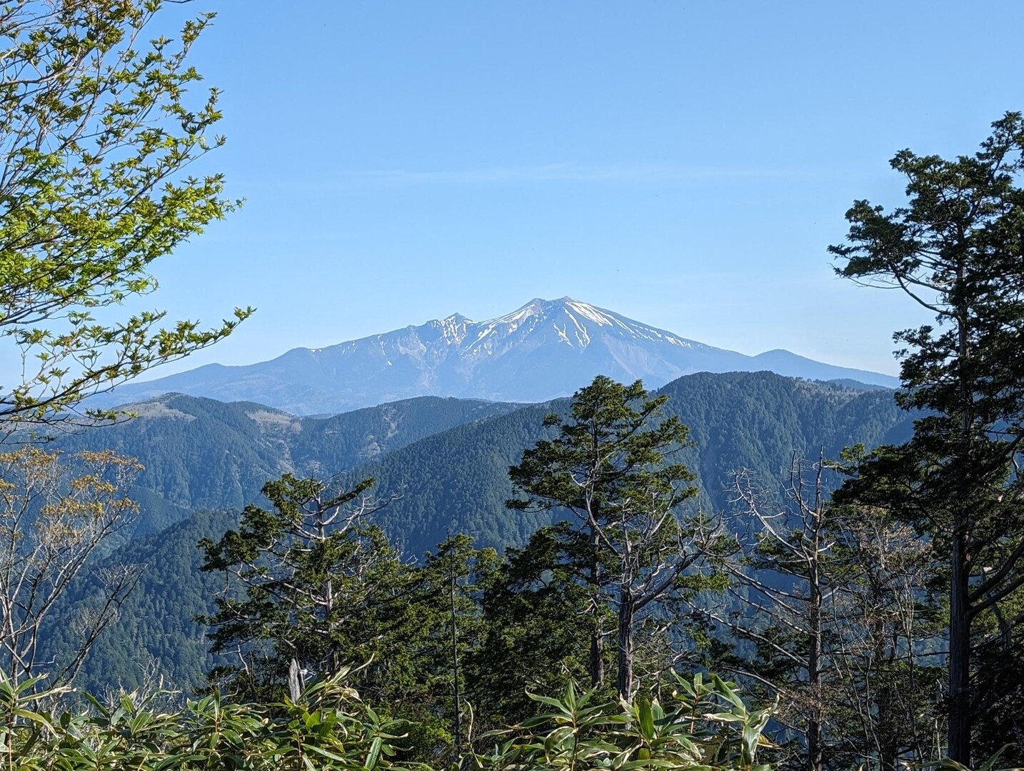 夕森山頂にて感動！ / NINさんの奥三界岳・夕森山の活動データ | YAMAP / ヤマップ