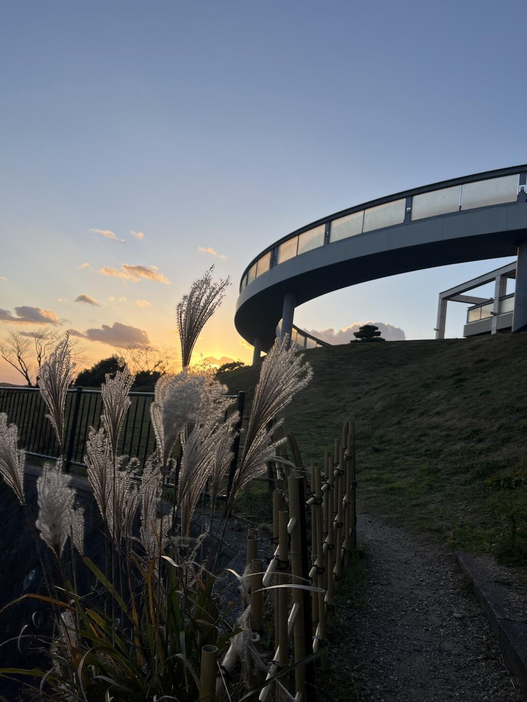 蔵王山67 往復ビンタ？ / Dr. Strangelove🐈‍⬛さんの蔵王山・衣笠山・滝頭山の活動日記 | YAMAP / ヤマップ