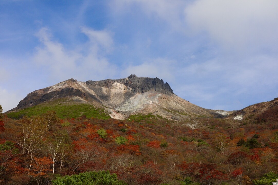 ロープウェイ山頂駅発着｜姥ヶ平散策コースの地図・登山ルート・登山口情報 | YAMAP / ヤマップ
