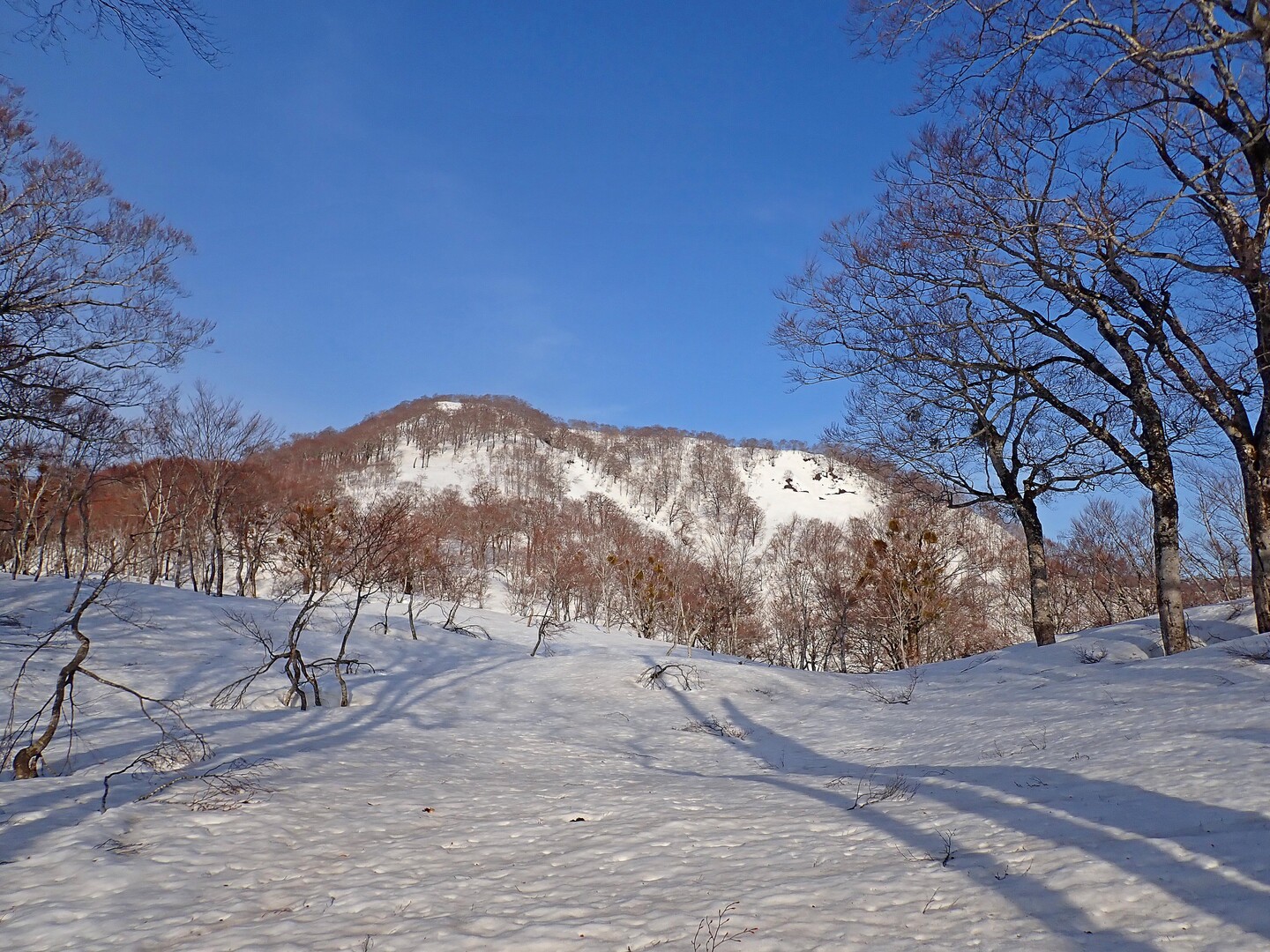 猿ヶ山 / Haktさんの猿ヶ山・三方山・袴腰山の活動データ | YAMAP / ヤマップ