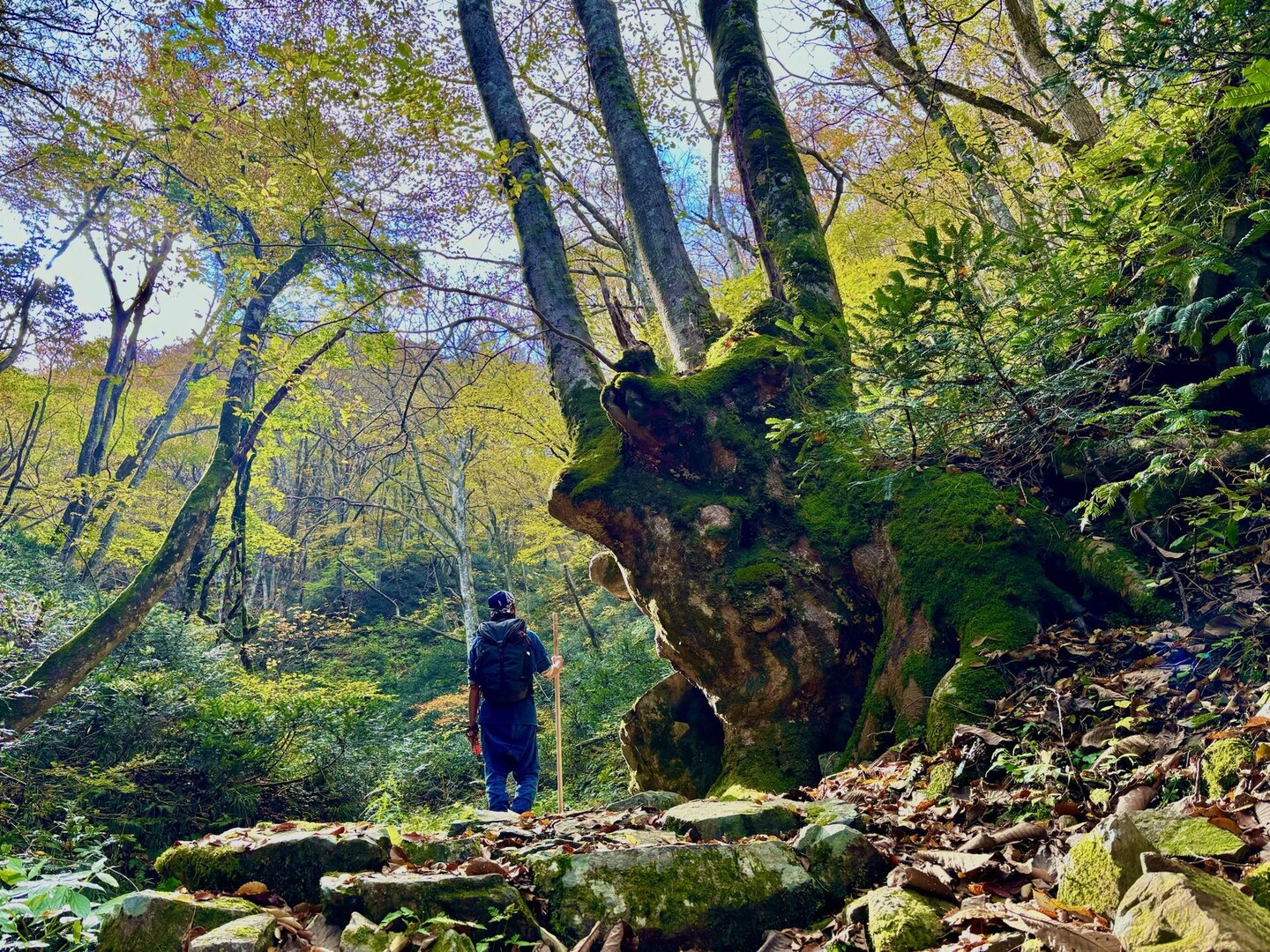 船通山 / Toru Oharaさんの船通山・玉峰山の活動データ | YAMAP / ヤマップ