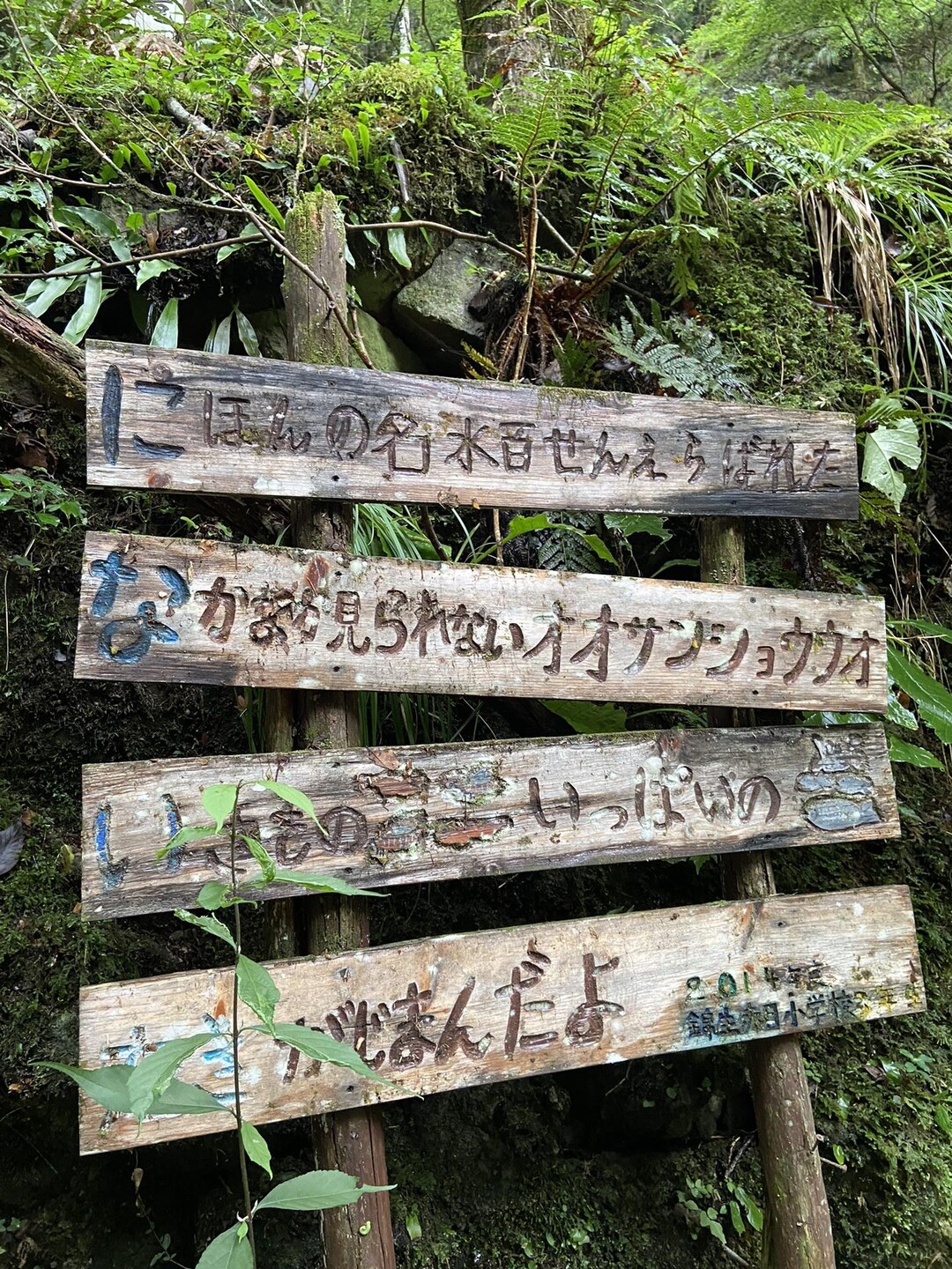 秋分の日はここっ☝️ 赤目四十八滝と長坂山 / namisuke🐝さんの長坂山・赤目四十八滝の活動データ | YAMAP / ヤマップ