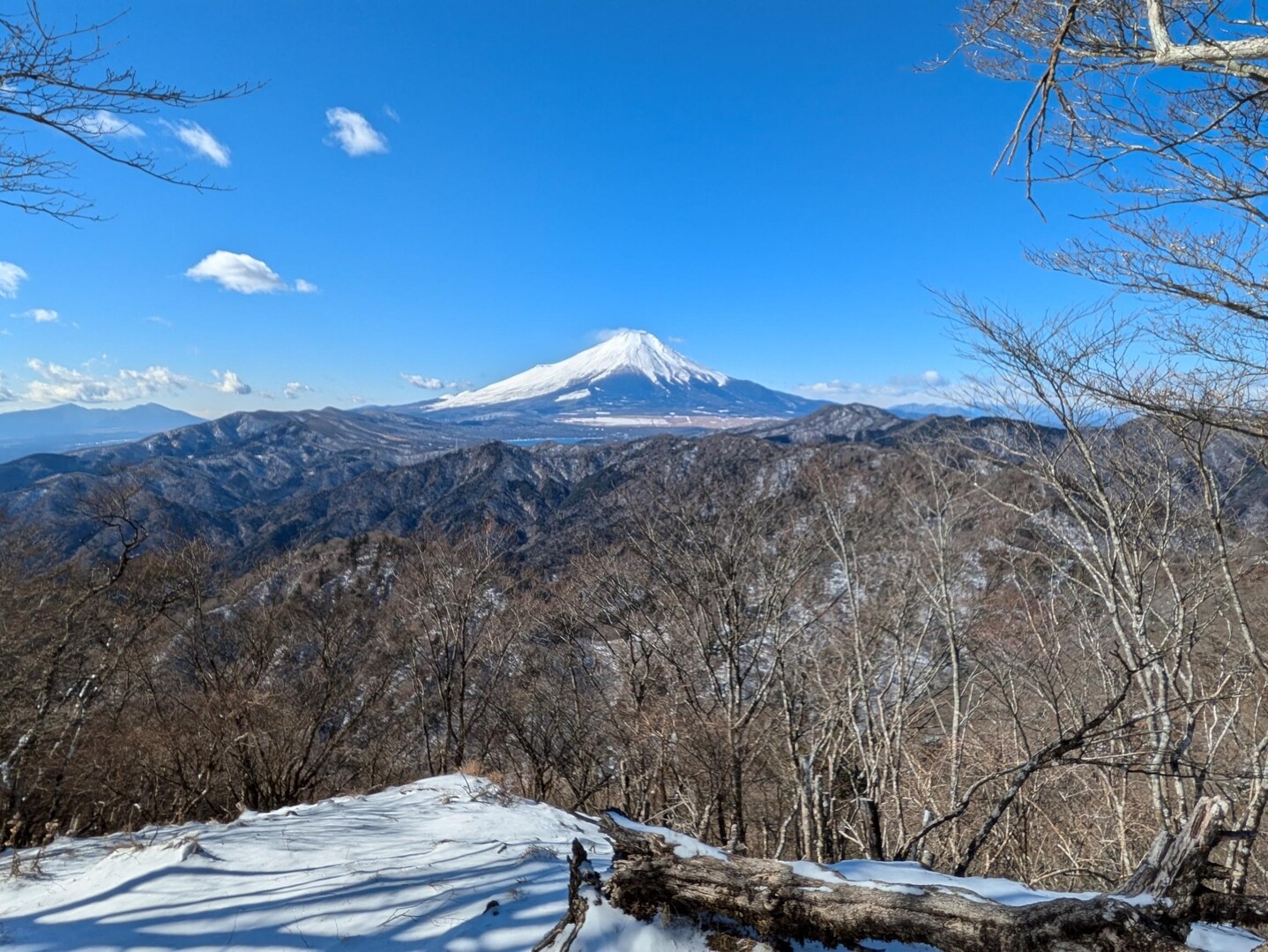 菰釣山 他15座 / kontomoさんの大室山・畦ヶ丸山・菰釣山の活動データ | YAMAP / ヤマップ